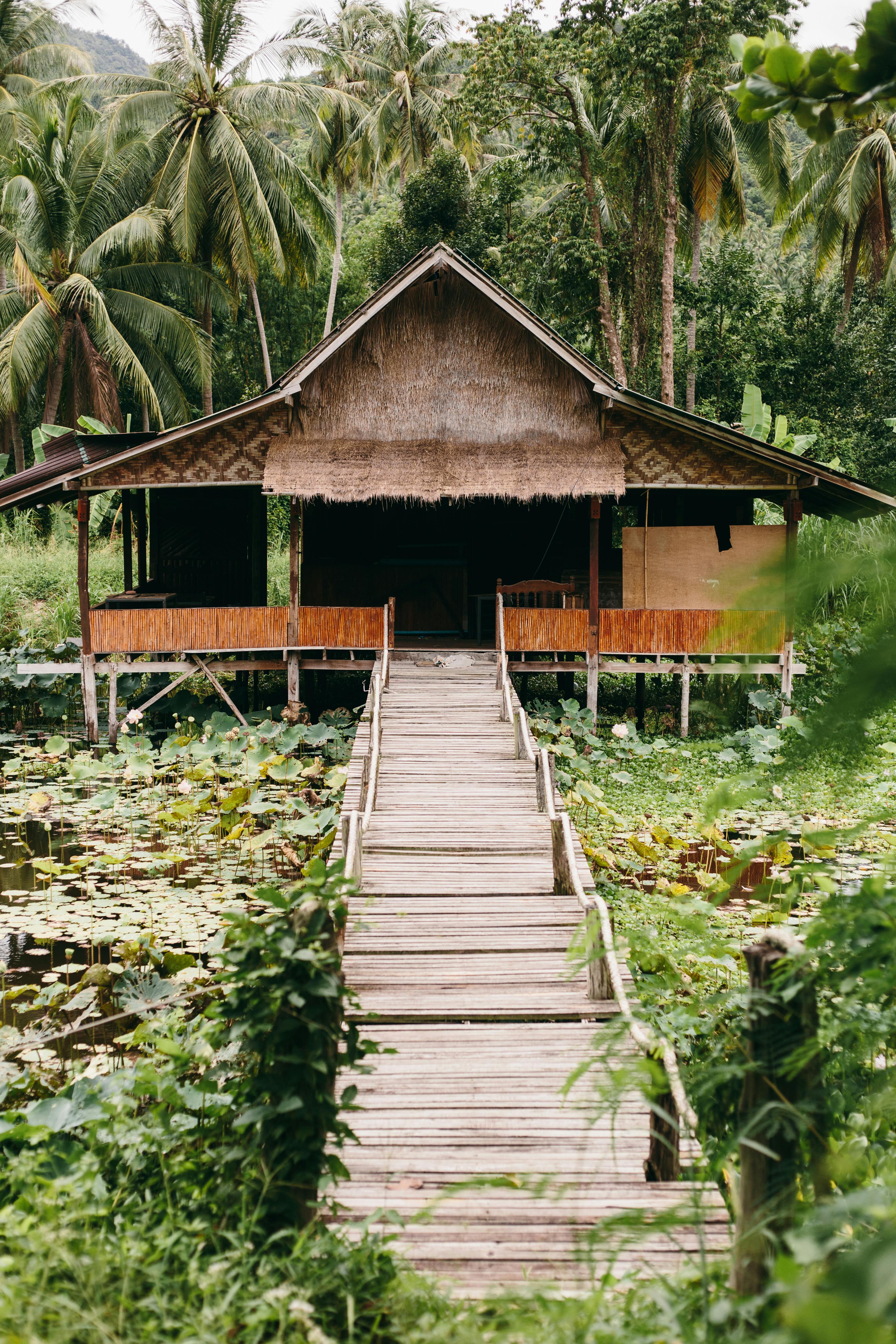 Coconut House Photos, Download The BEST Free Coconut House Stock Photos ...