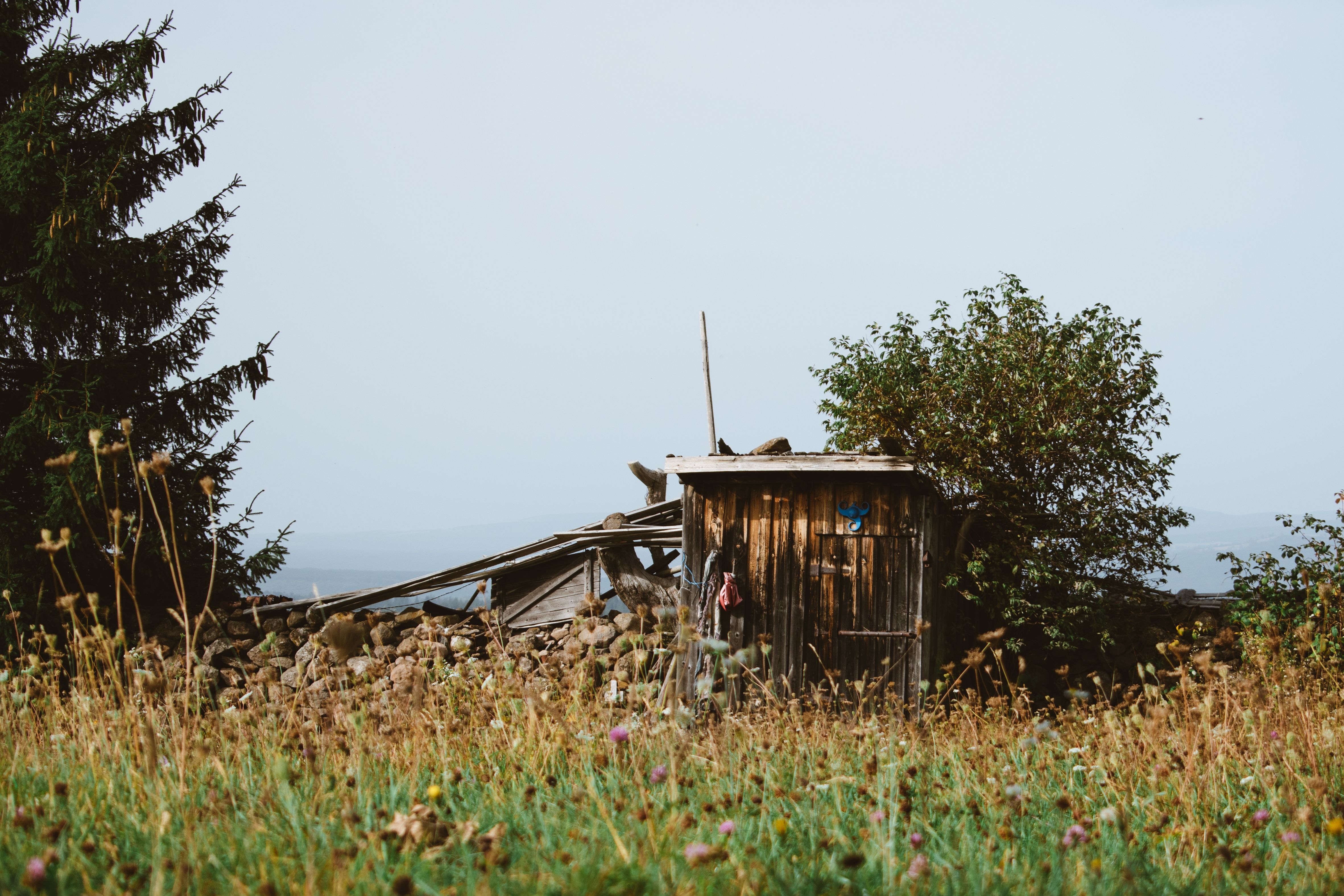 A Shack in a Field · Free Stock Photo