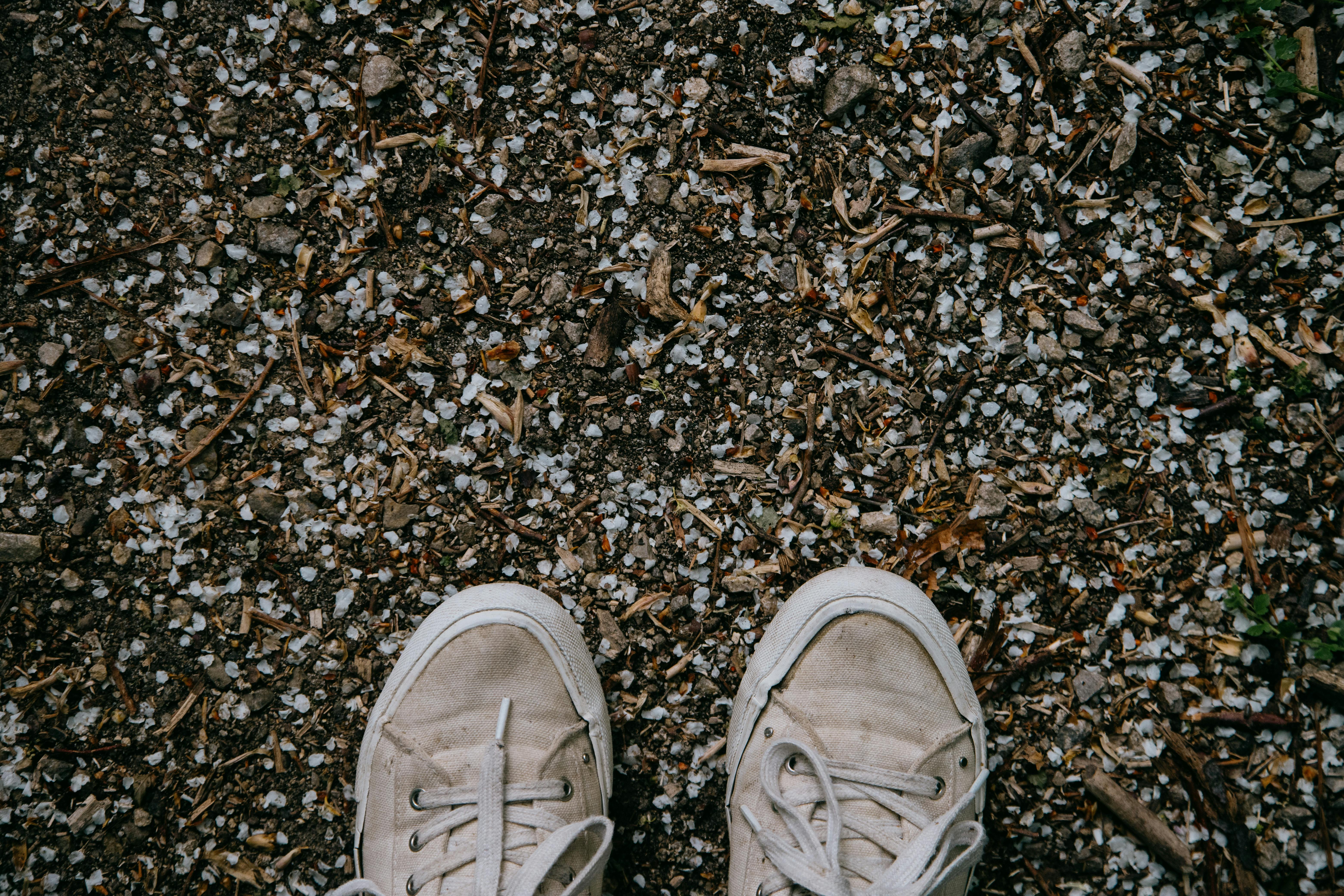 Leave Your Shoes Outside Photos, Download The BEST Free Leave Your ...
