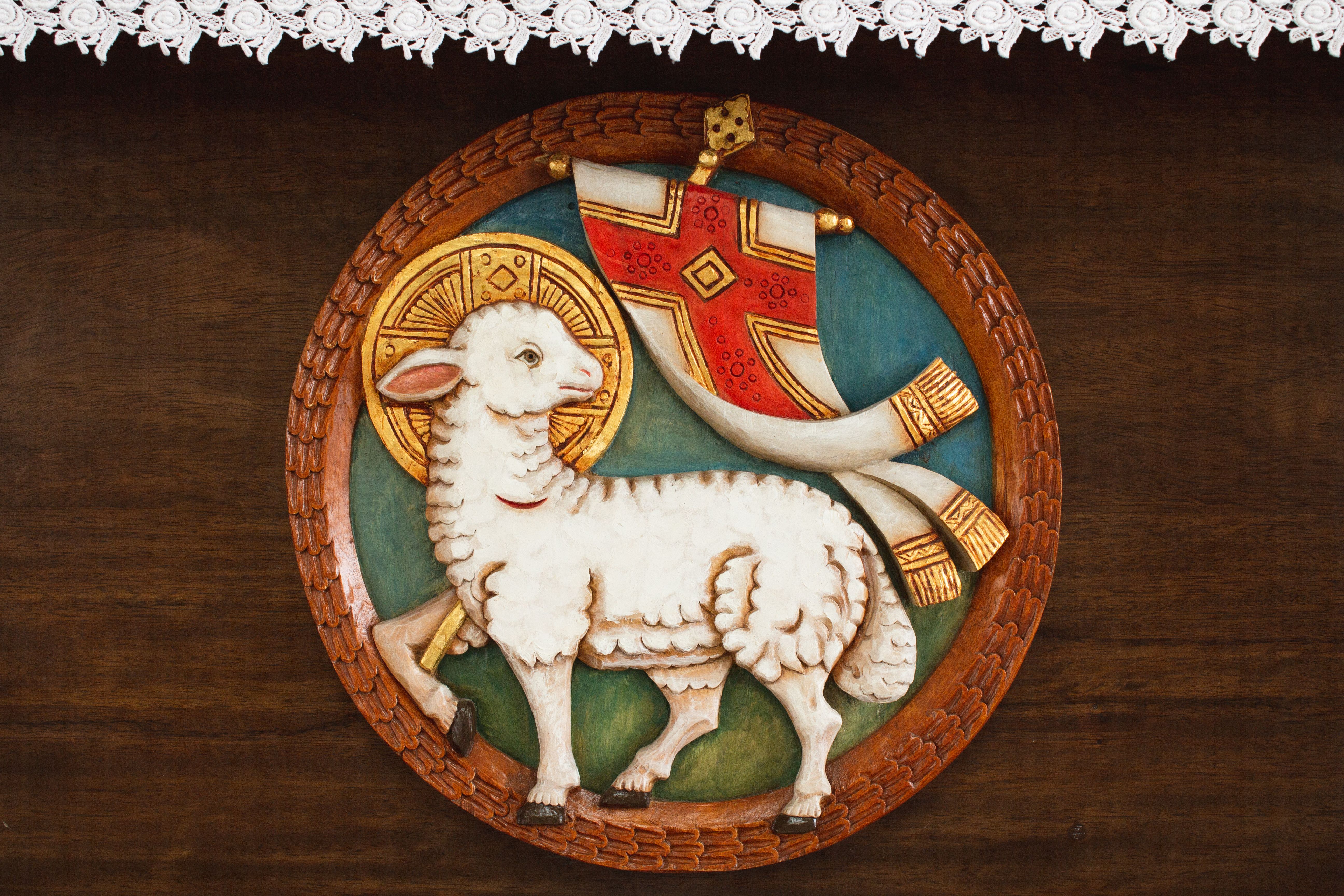 Gods Sheep Photos, Download The BEST Free Gods Sheep Stock Photos & HD ...