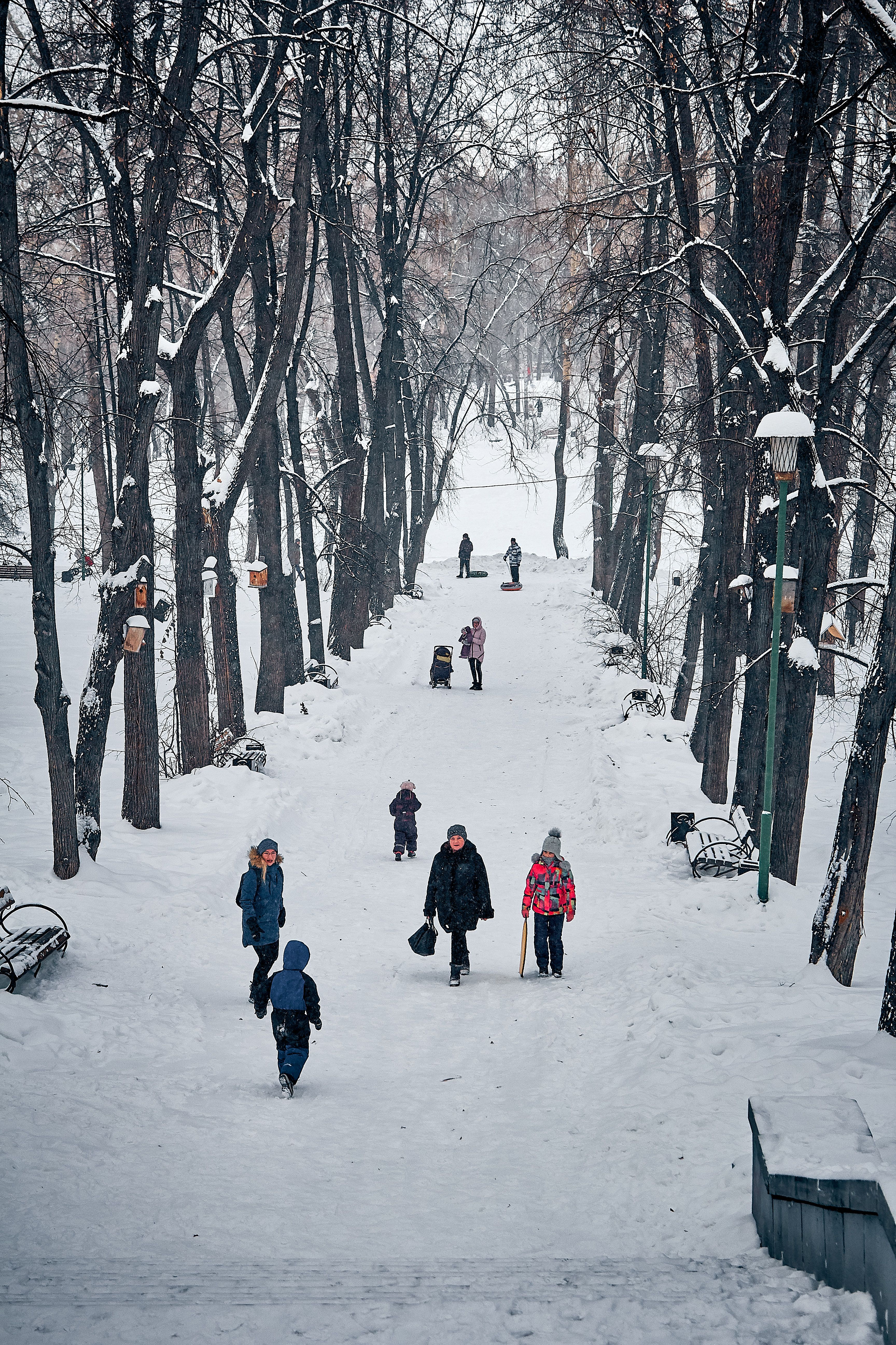 Man and Woman Walking on Snow Covered Road · Free Stock Photo