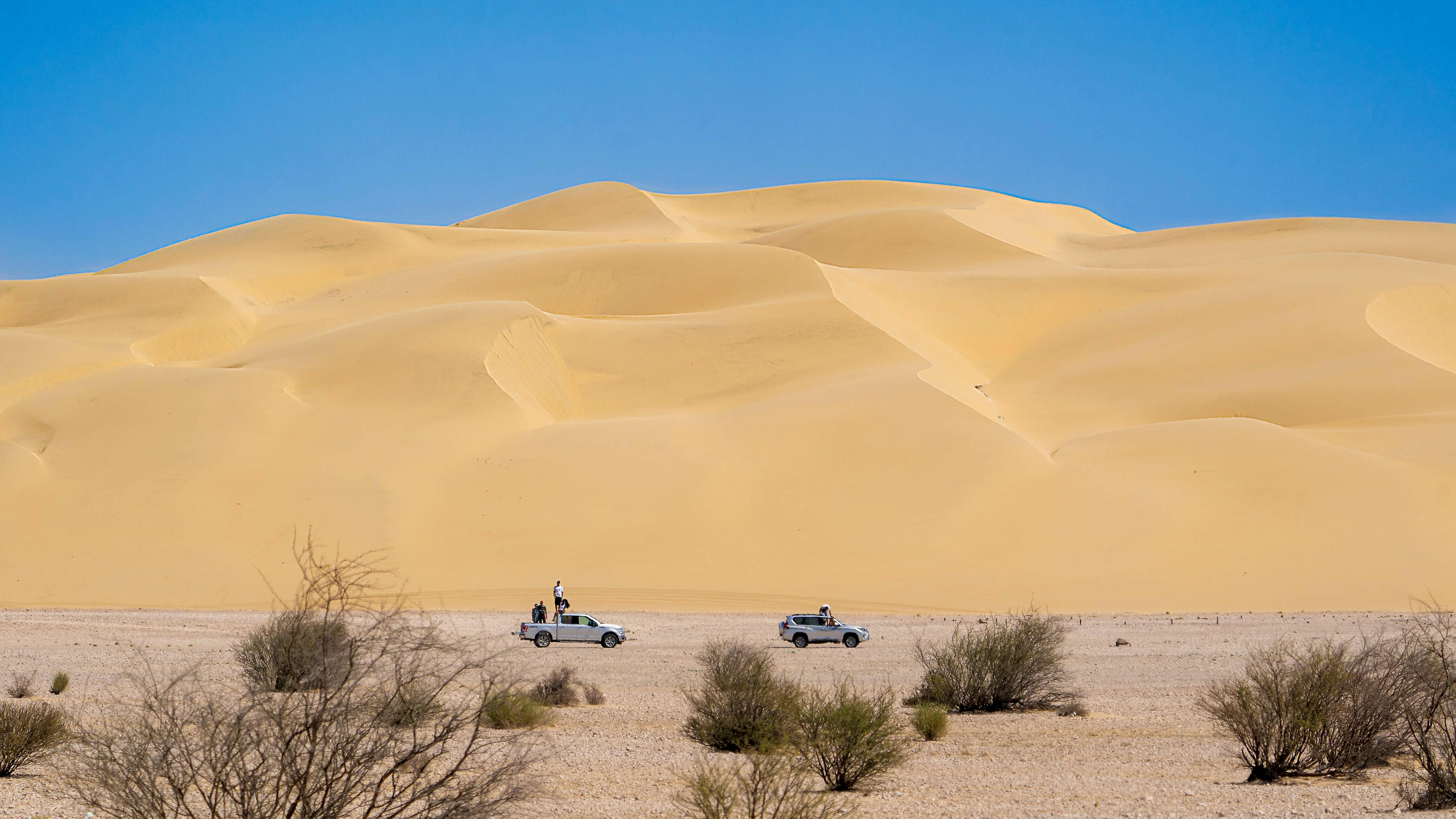 Shrub Coppice Dune Photos, Download The BEST Free Shrub Coppice Dune ...