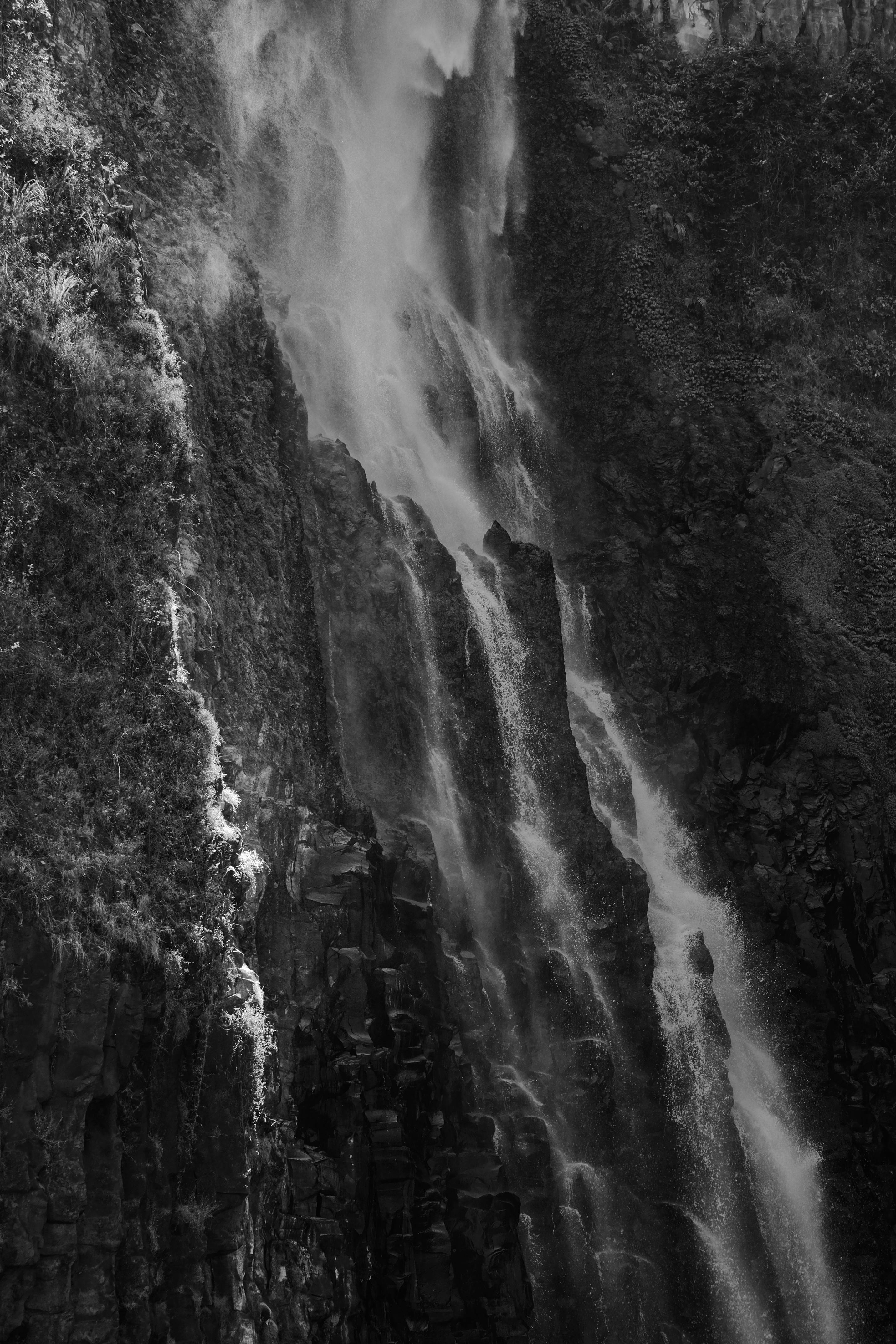 54,819+ Best Free Falling star Stock Photos & Images · 100% Royalty ...