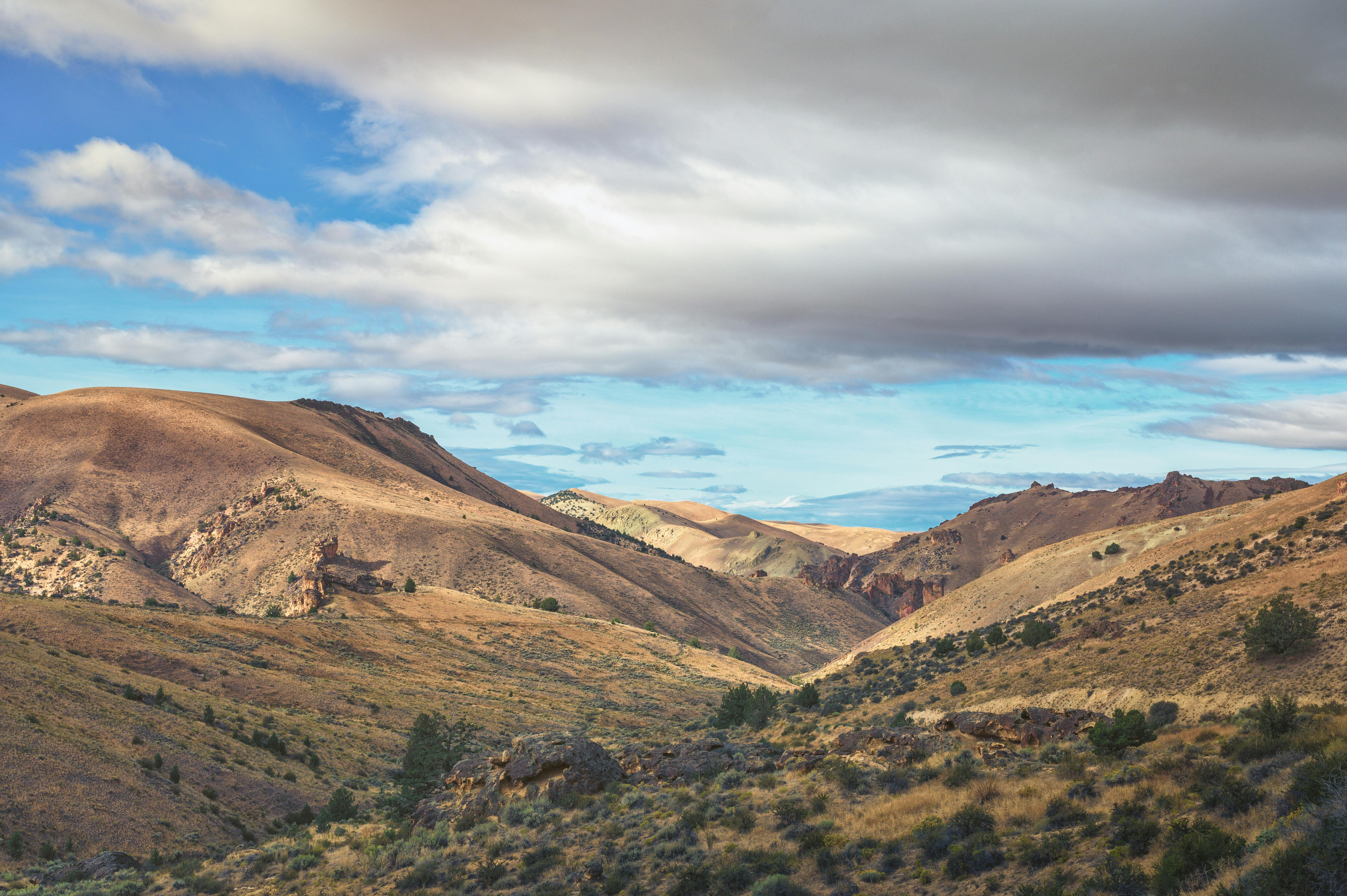 Hilly range covered with dry and green plants · Free Stock Photo