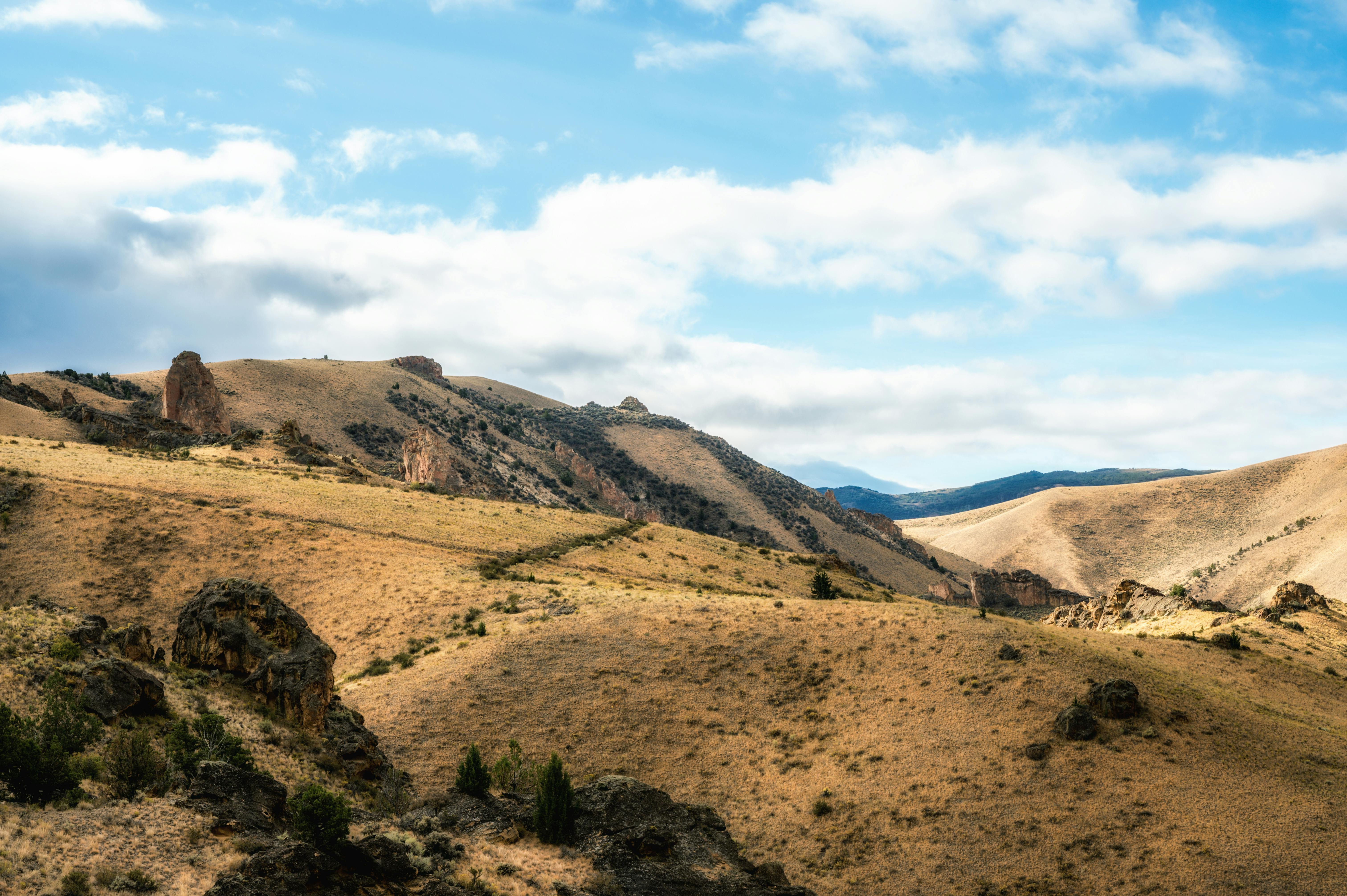 Hilly valley with cliffs and dry plants · Free Stock Photo