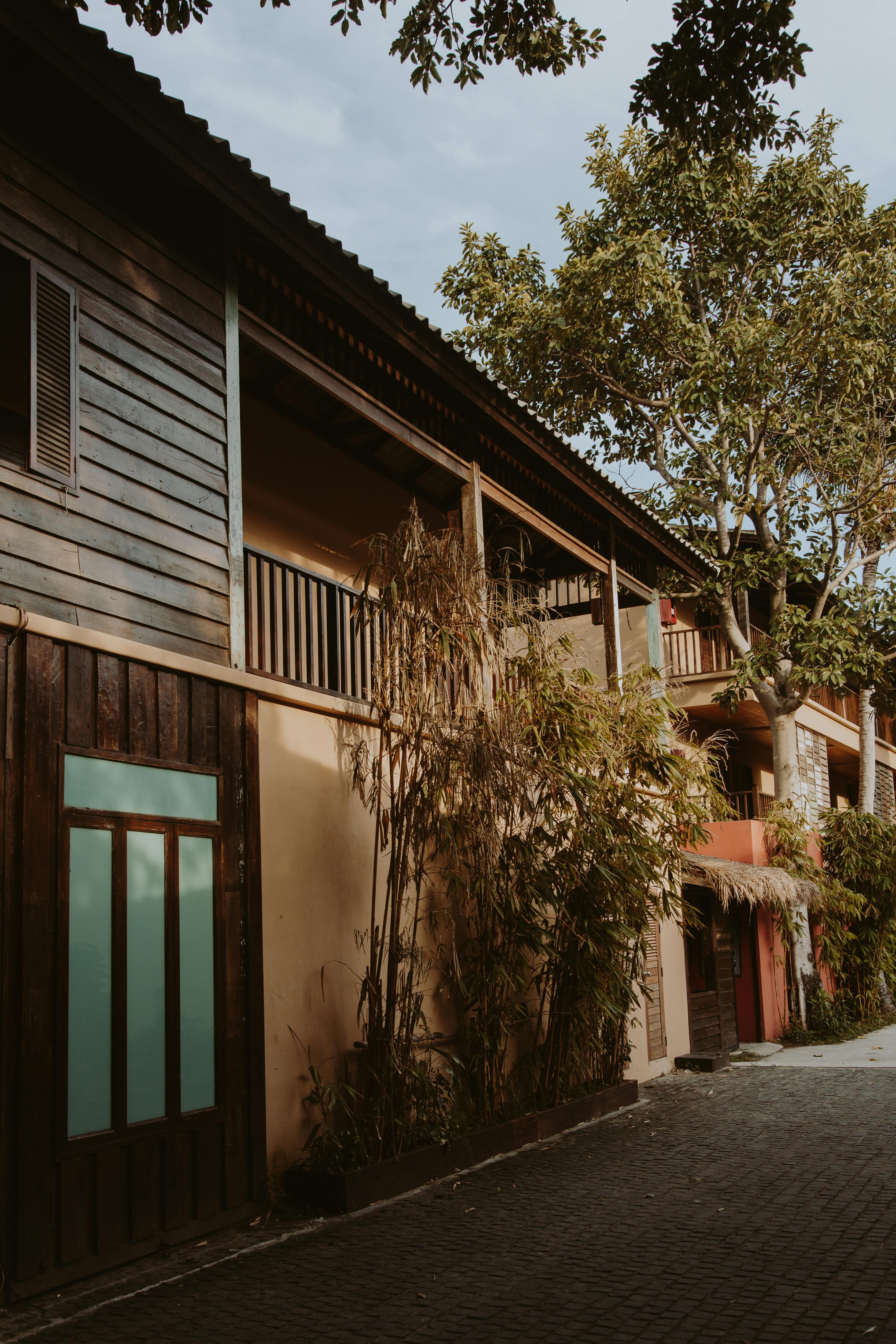 Tree Planting Photos, Download The BEST Free Tree Planting Stock Photos ...