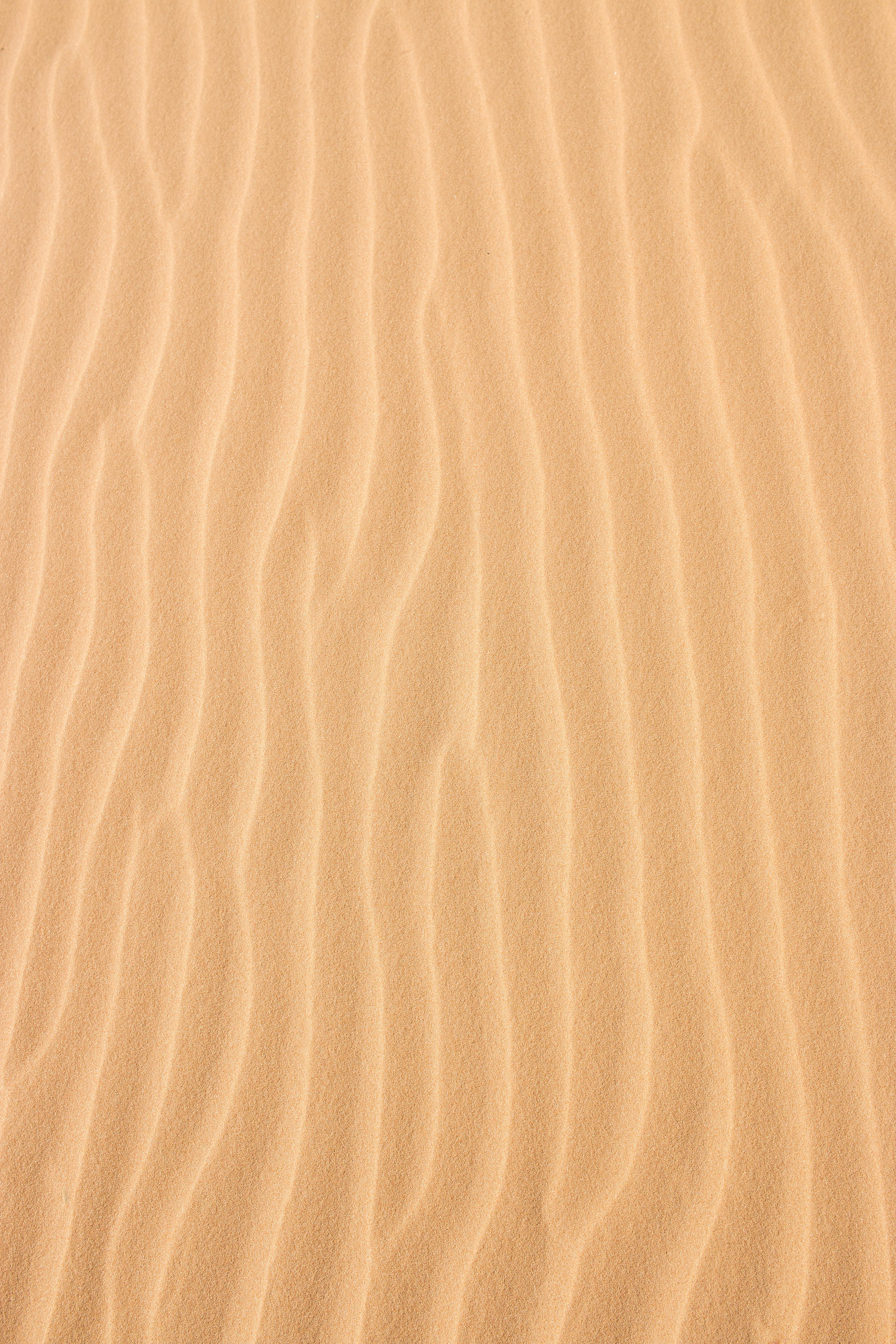Gray Sand Dunes · Free Stock Photo
