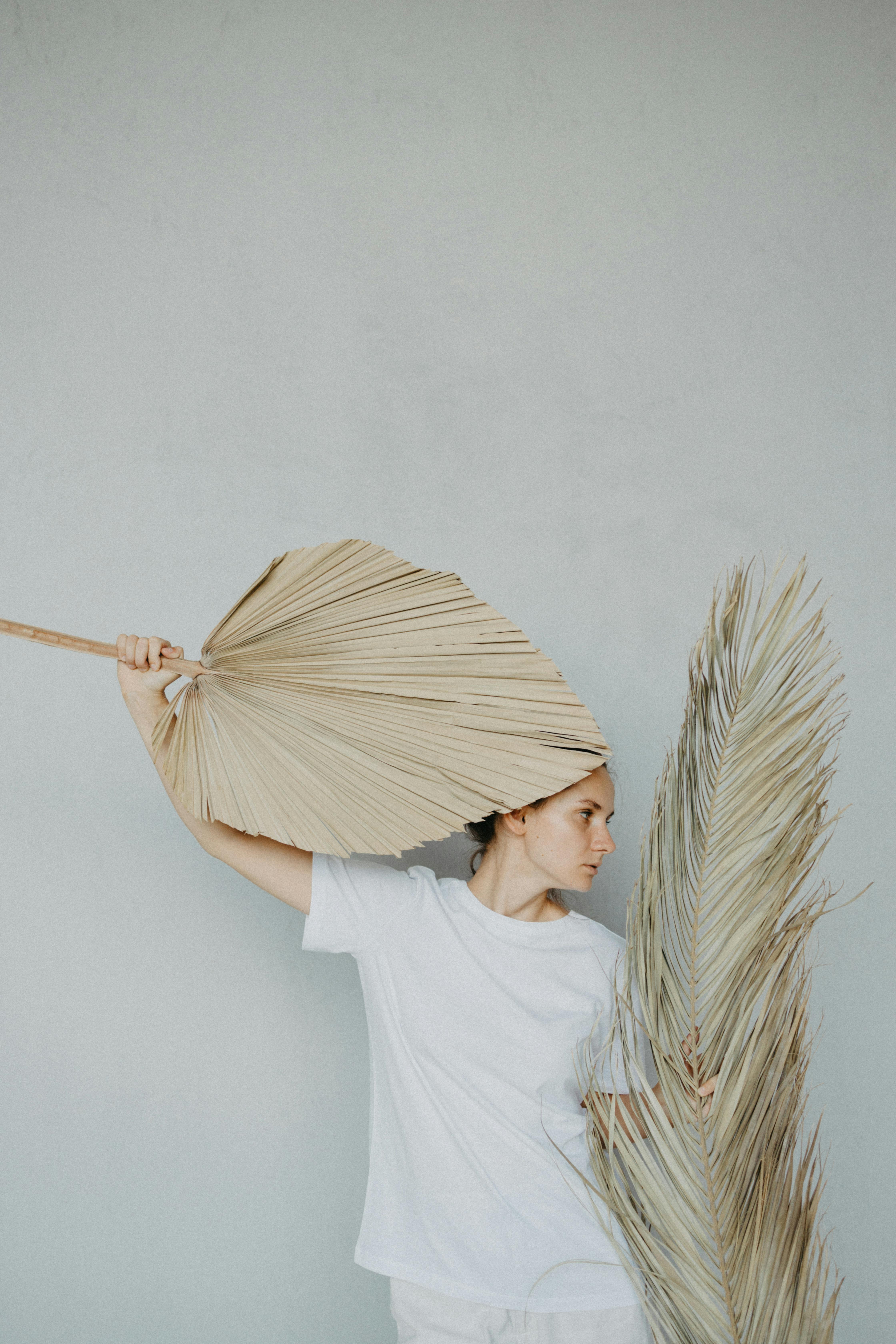 Beige Logos Photos, Download The BEST Free Beige Logos Stock Photos ...