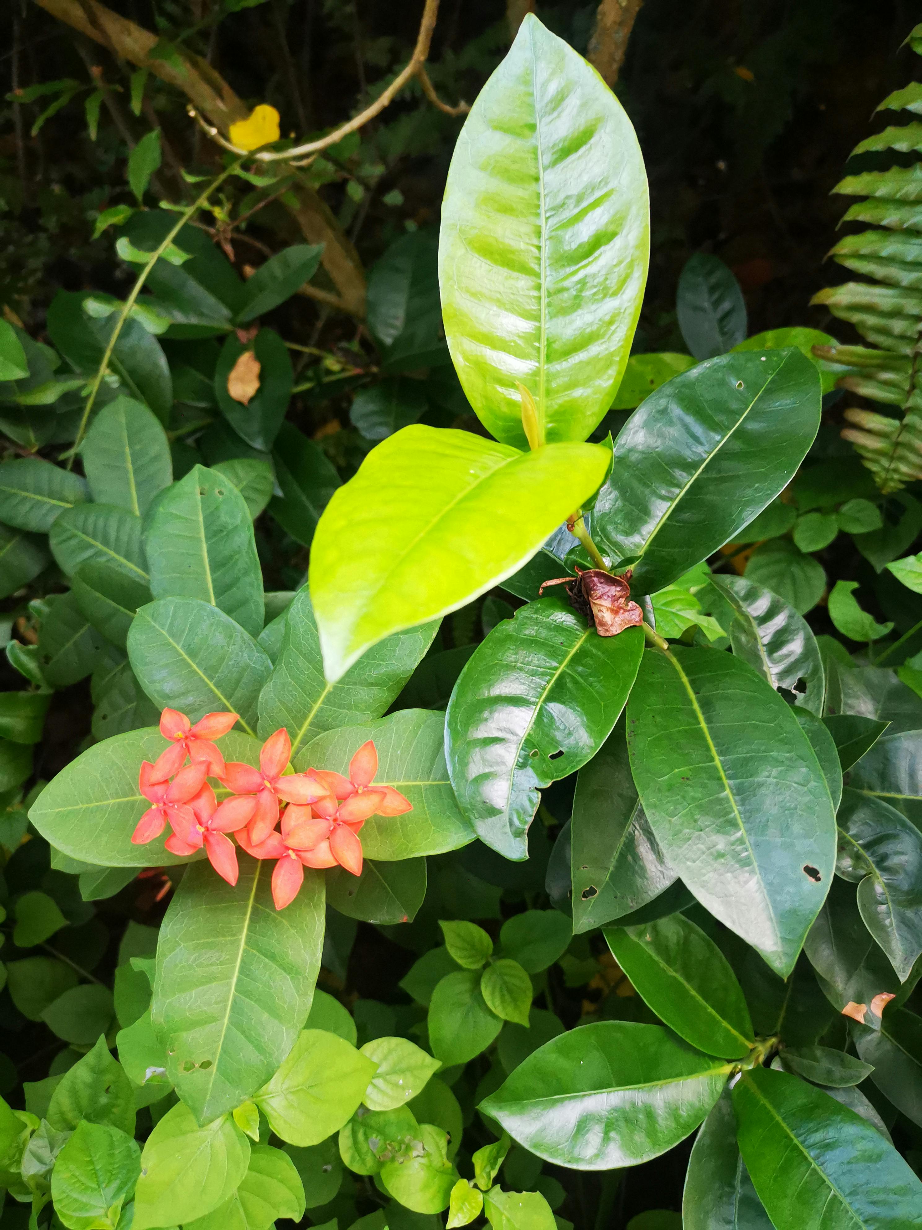 Gerald Ho - Fotografía