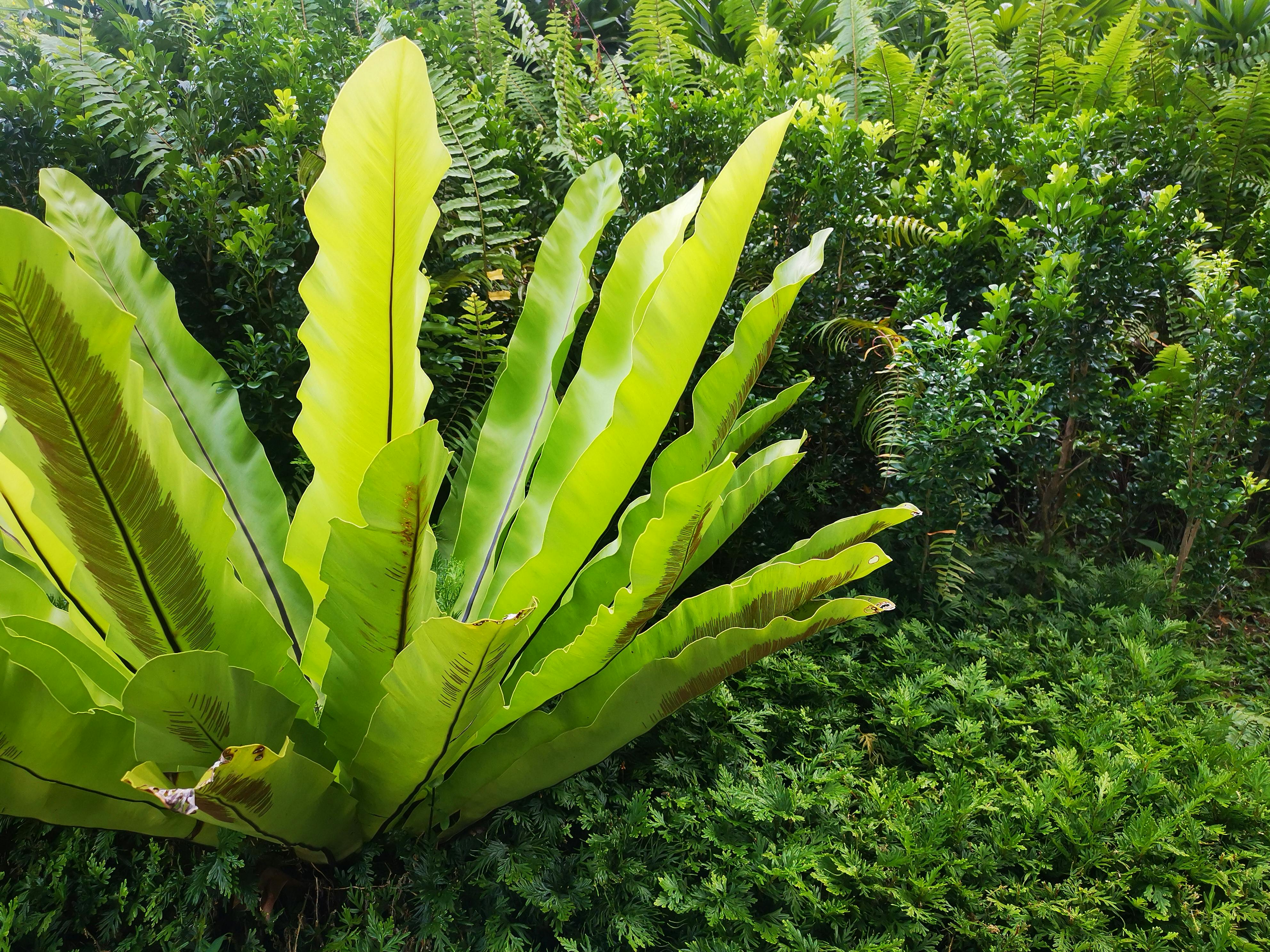 Gerald Ho – Fotografia