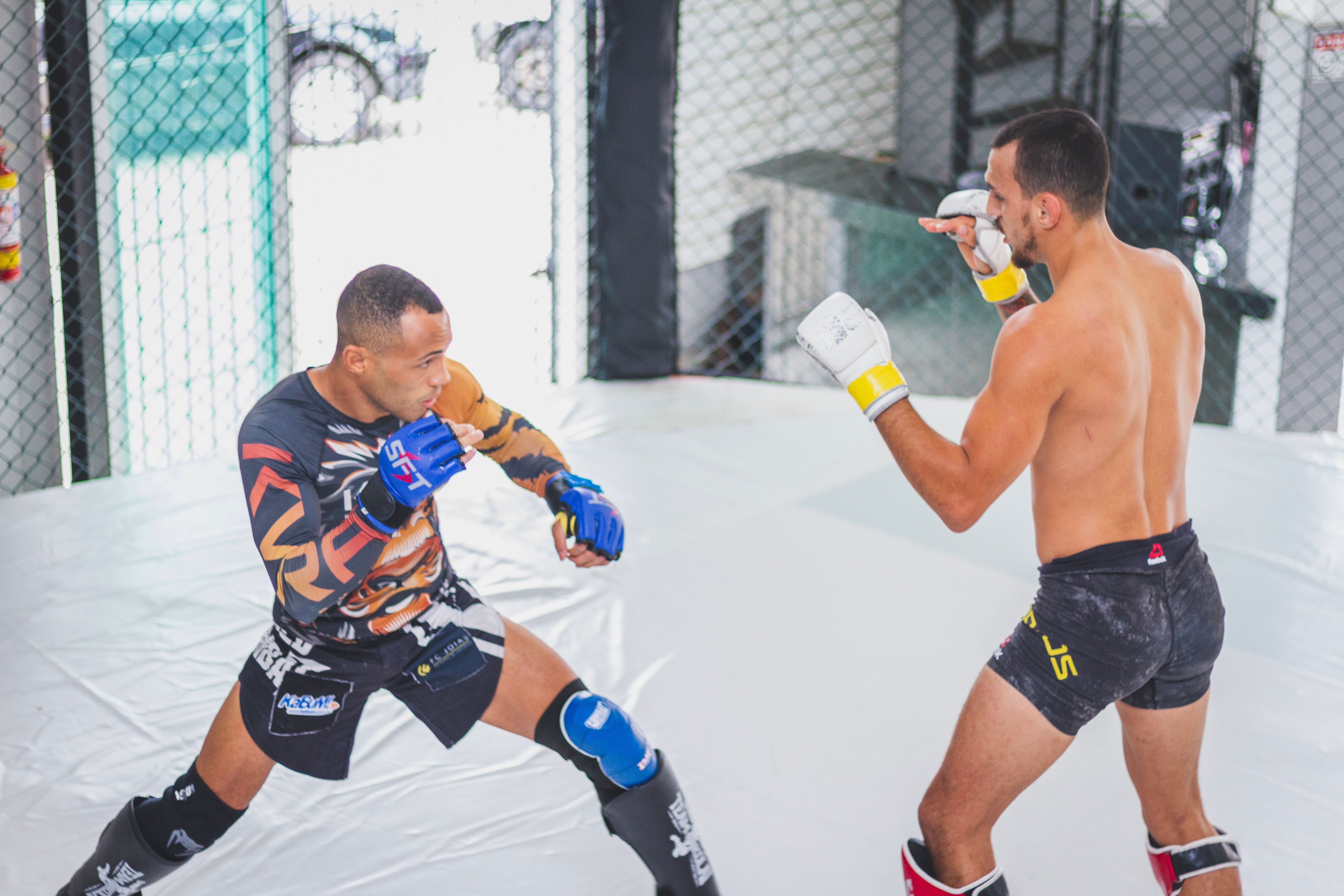 Professional Athletes Photos, Download The BEST Free Professional ...