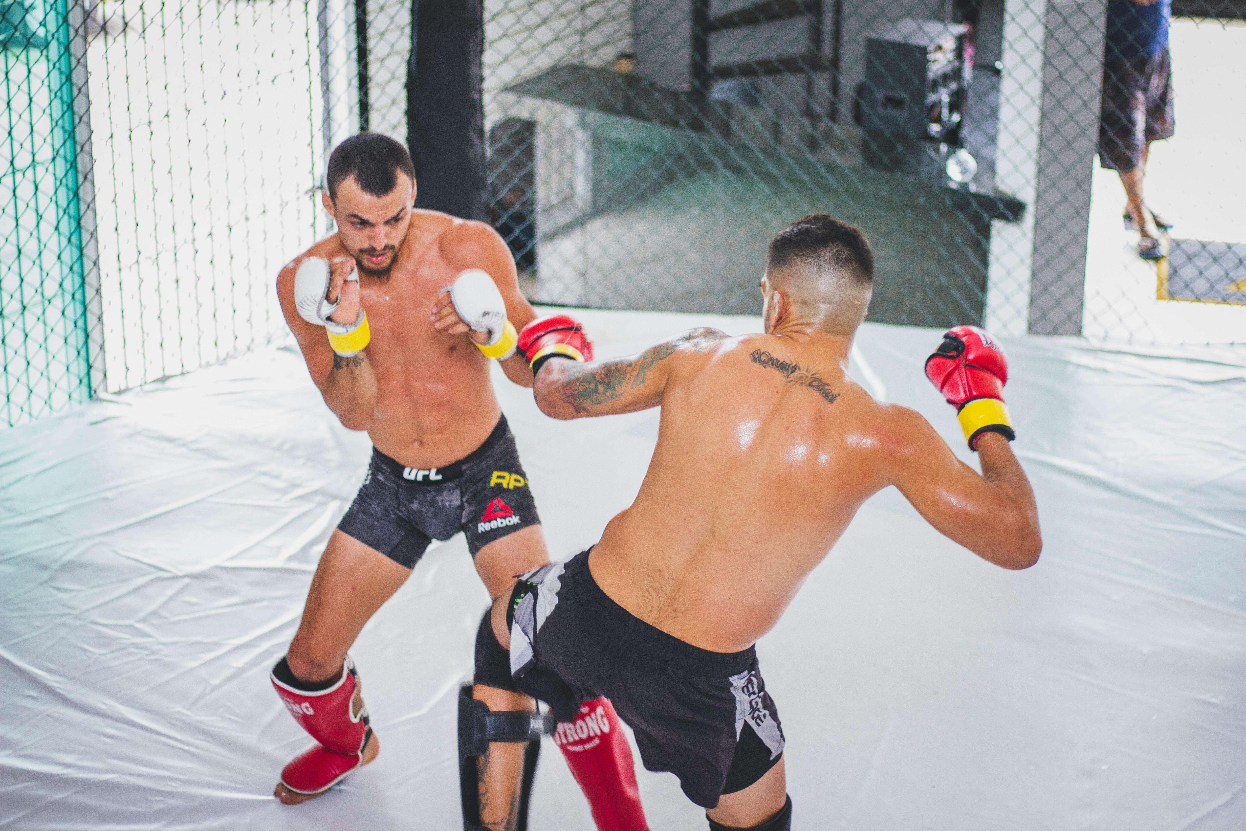 Men Fighting in an Octagon · Free Stock Photo