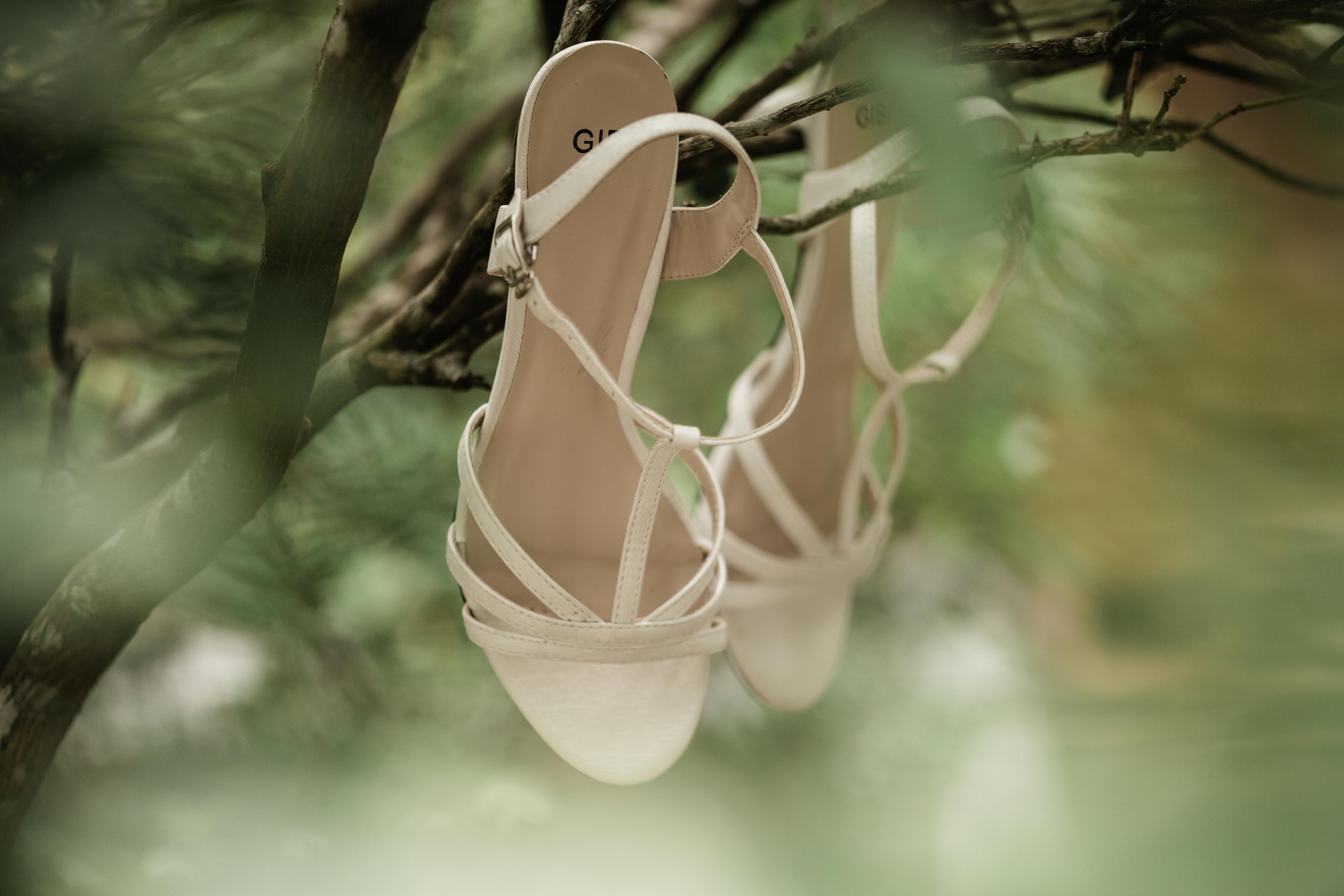 Stylish female sandals hanging on tree branch in garden · Free Stock Photo