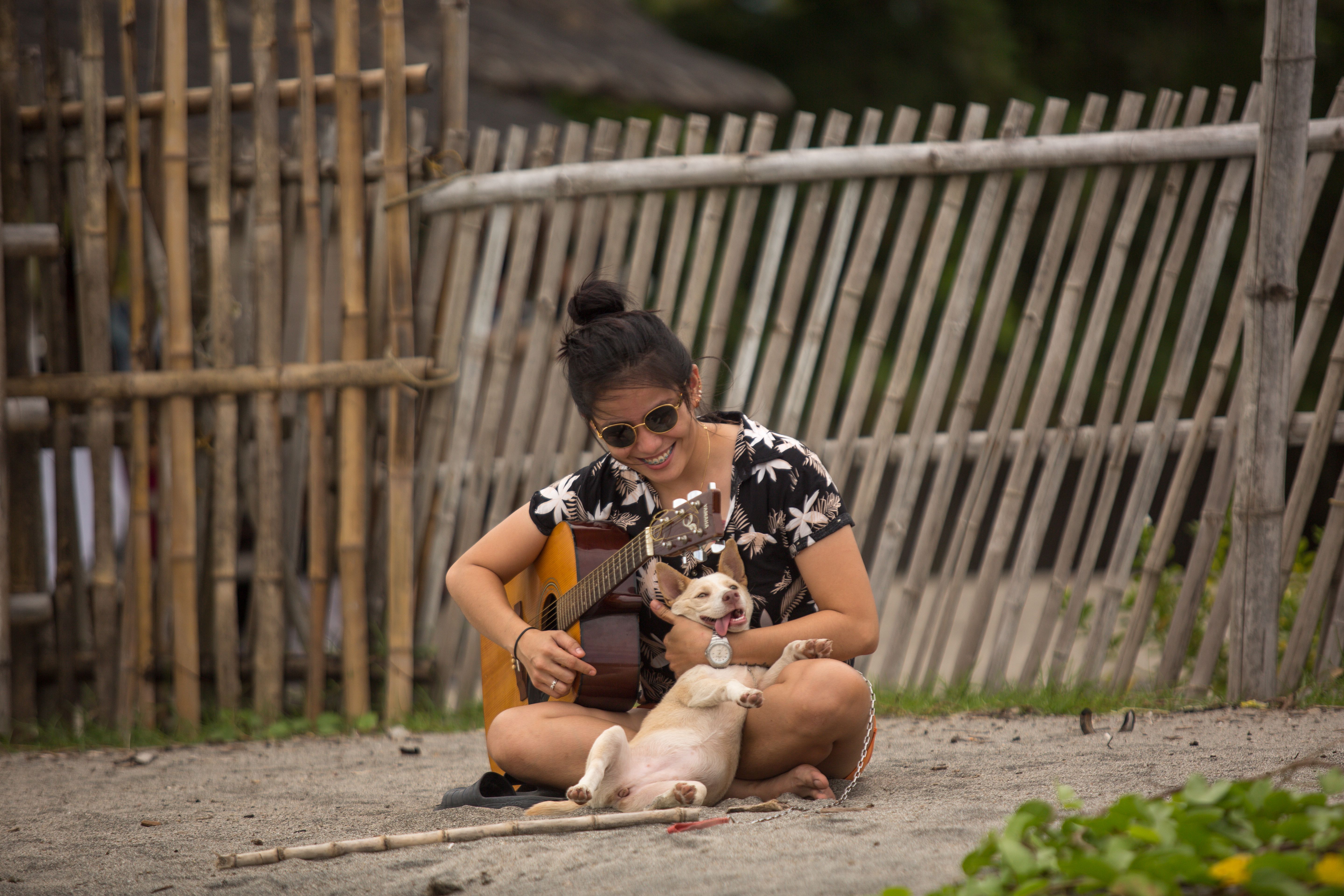 Smiling ethnic musician with guitar embracing content dog on pathway ...