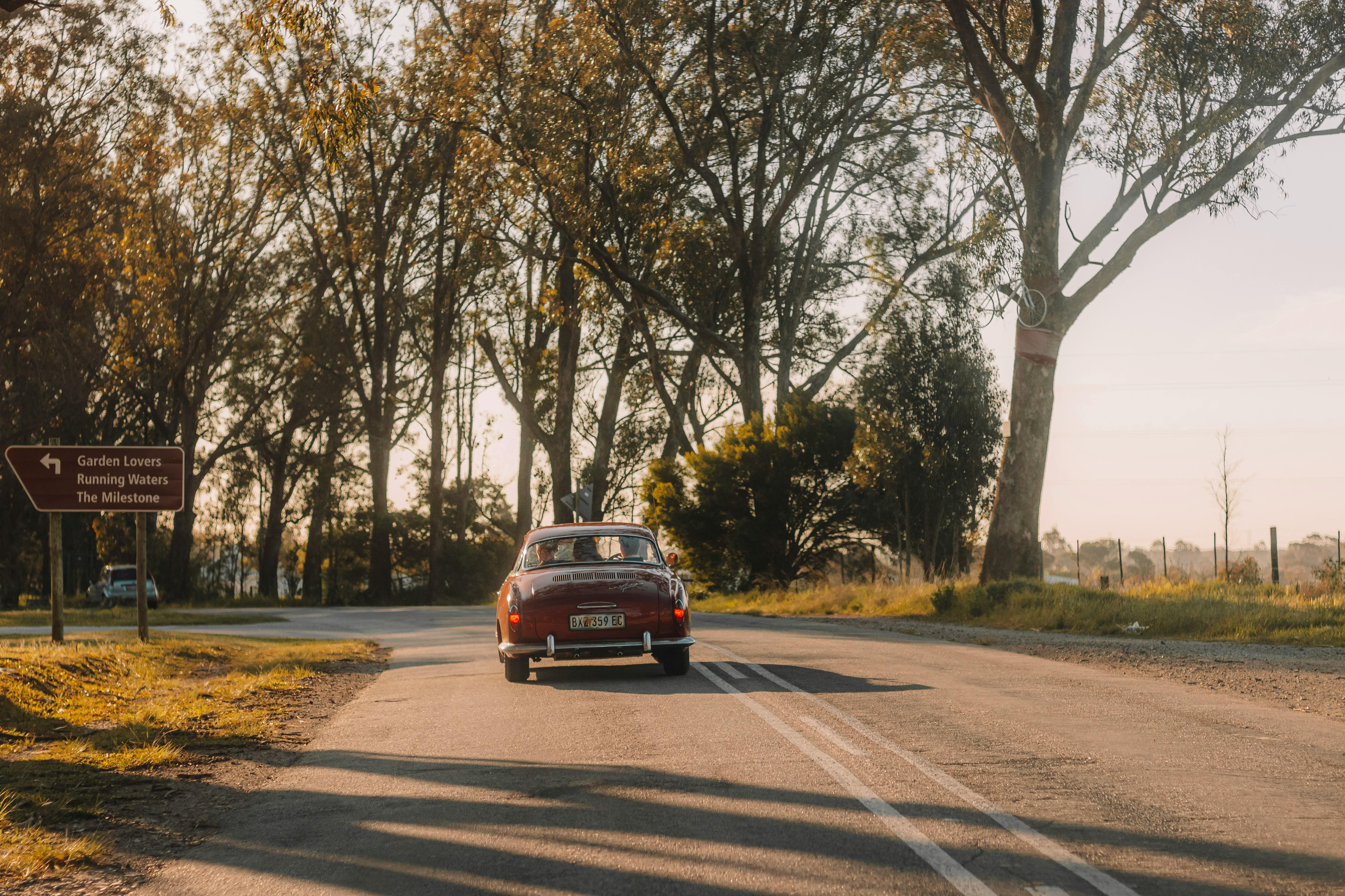 Red Car on Road Near Trees · Free Stock Photo