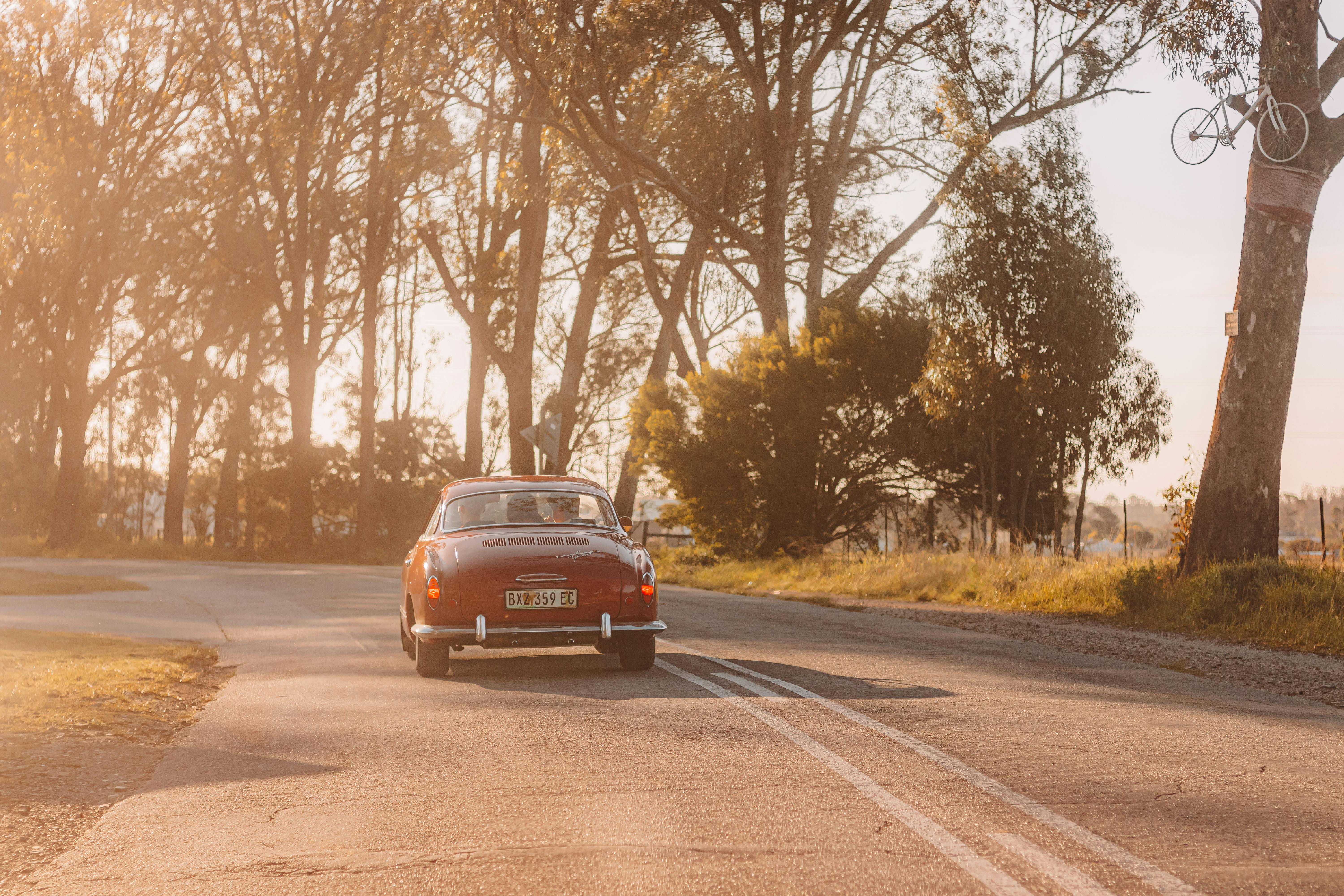 Red Car on Road Near Trees · Free Stock Photo