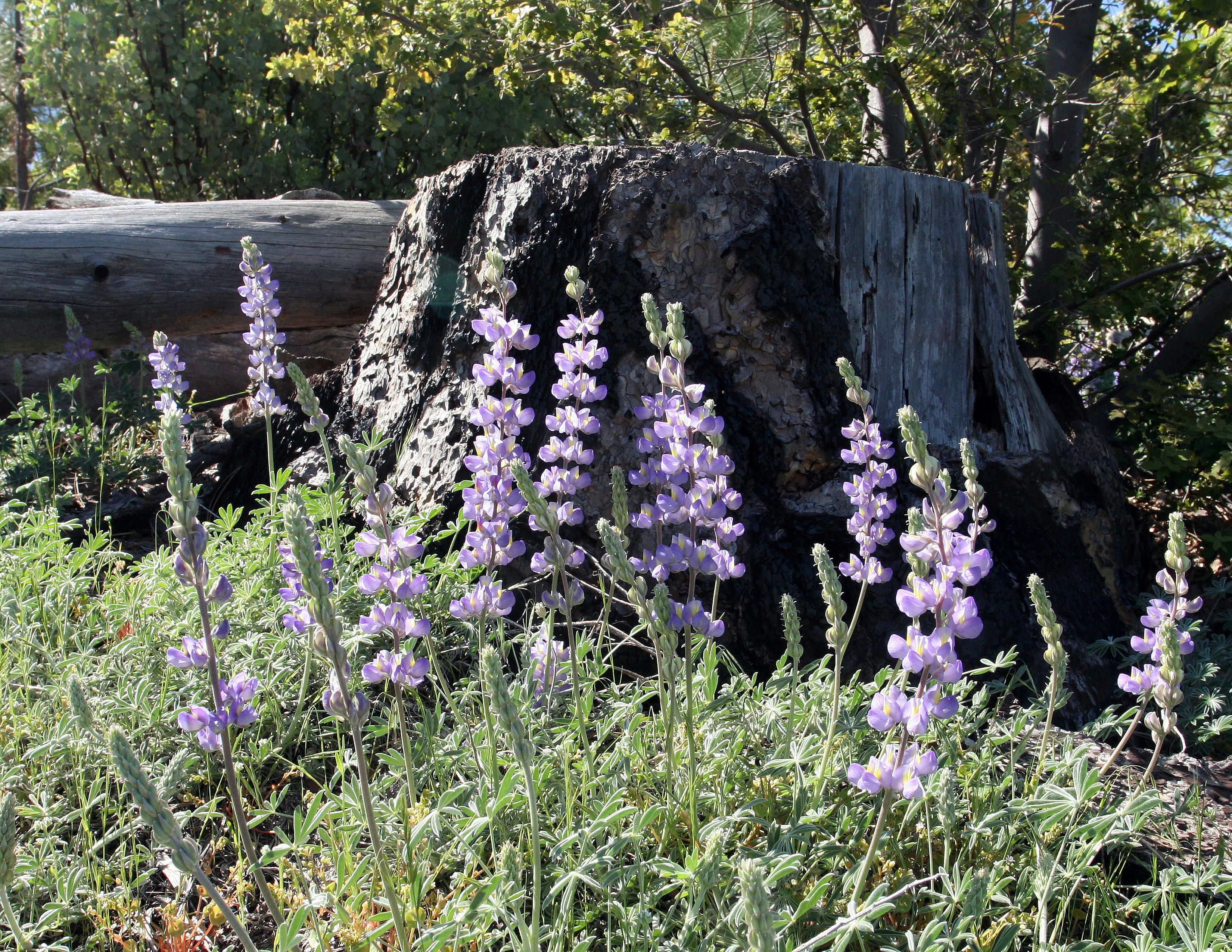 Kevin Wheeler - 사진