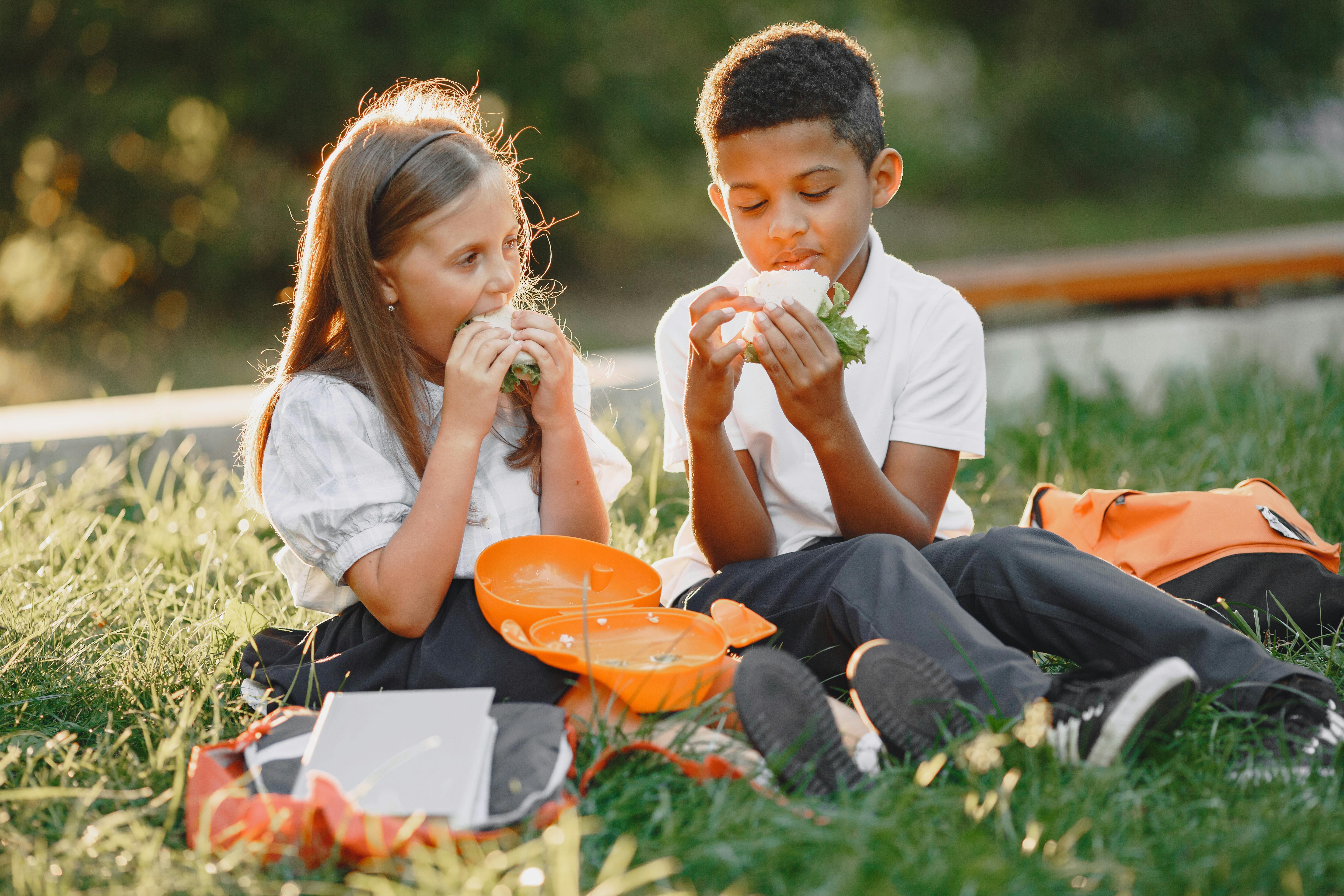 Young Students Eating Sandwiches while Sitting on Green Grass · Free ...