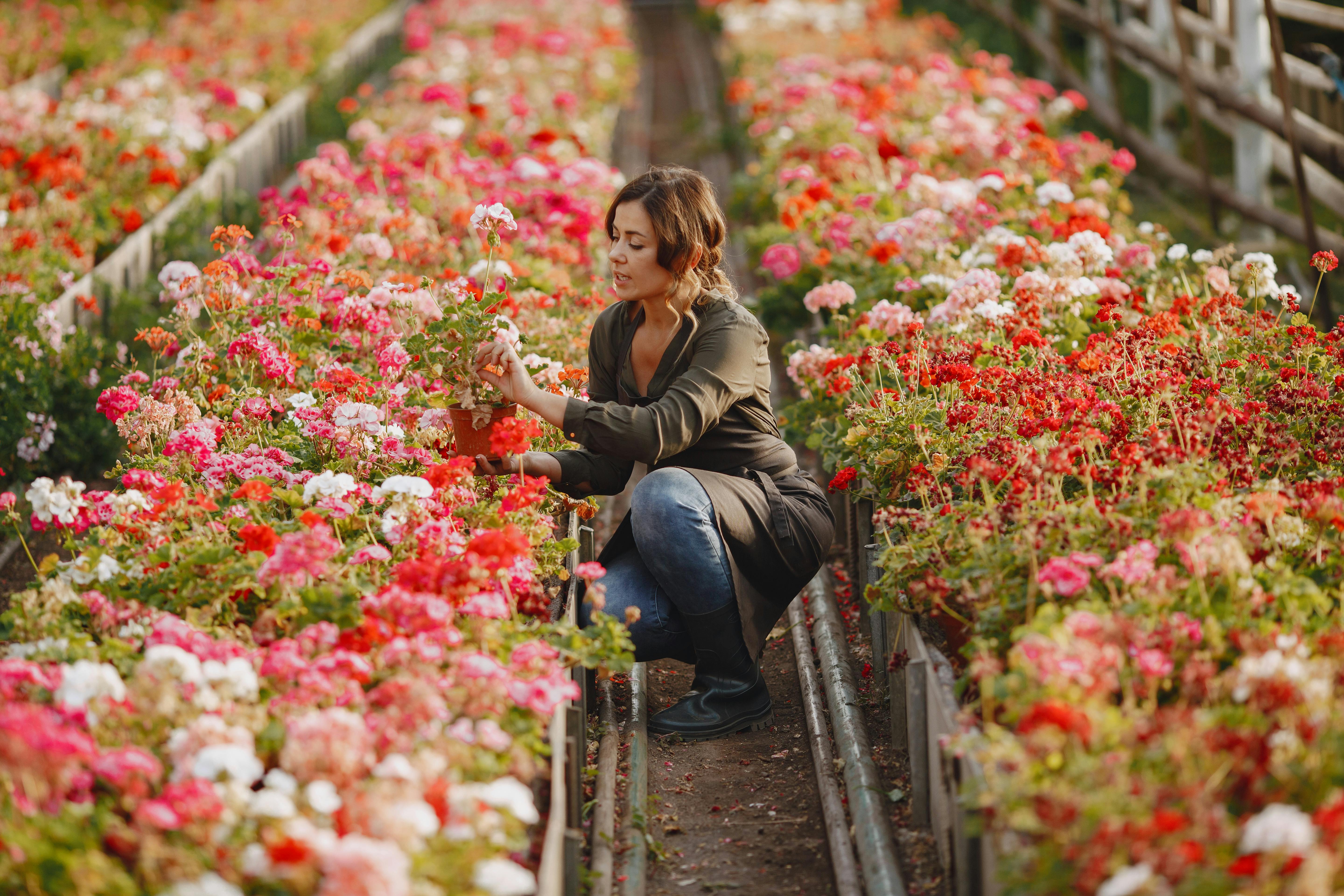 Woman Holding Potted Flower in the Garden · Free Stock Photo