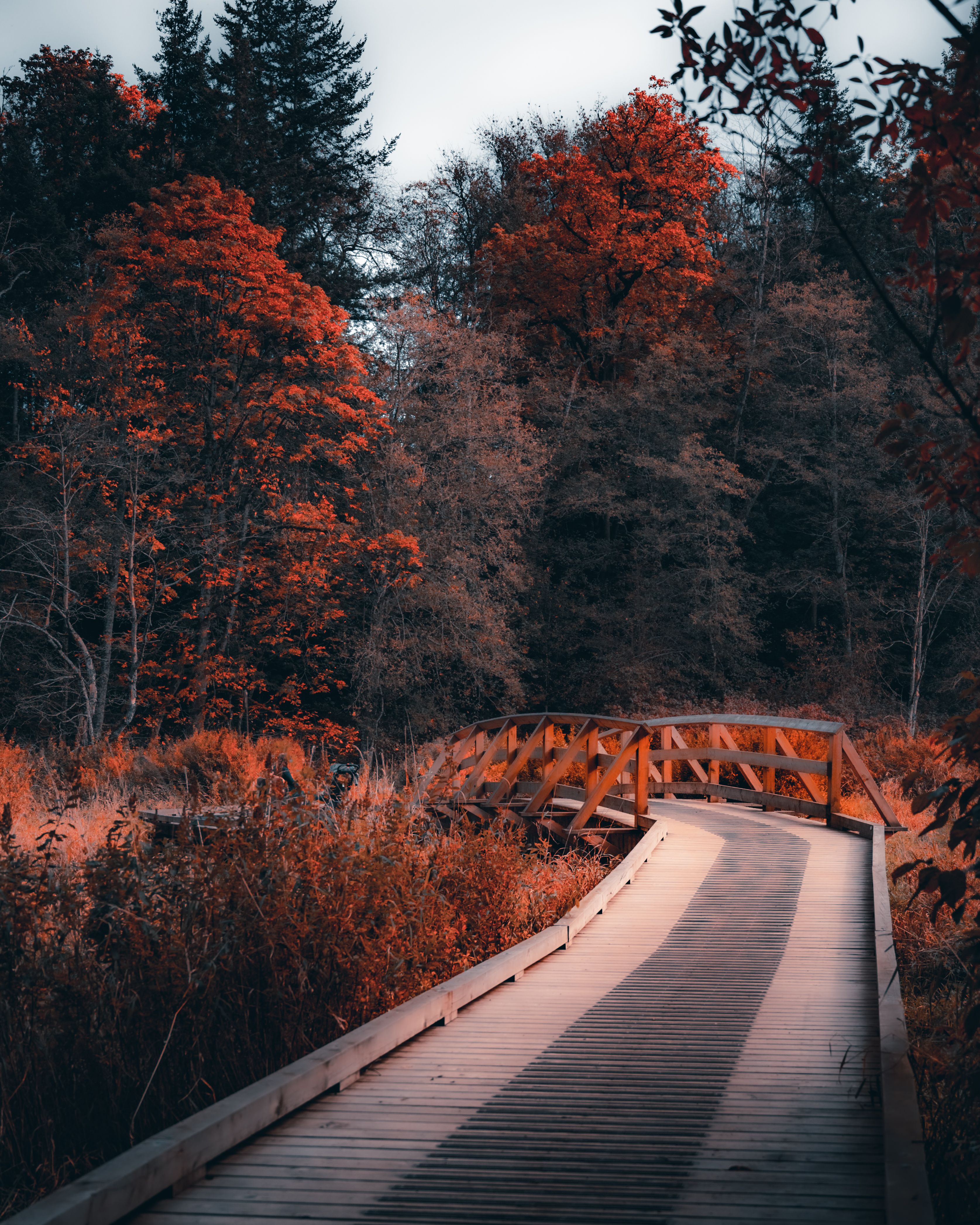 Rd · Pexels