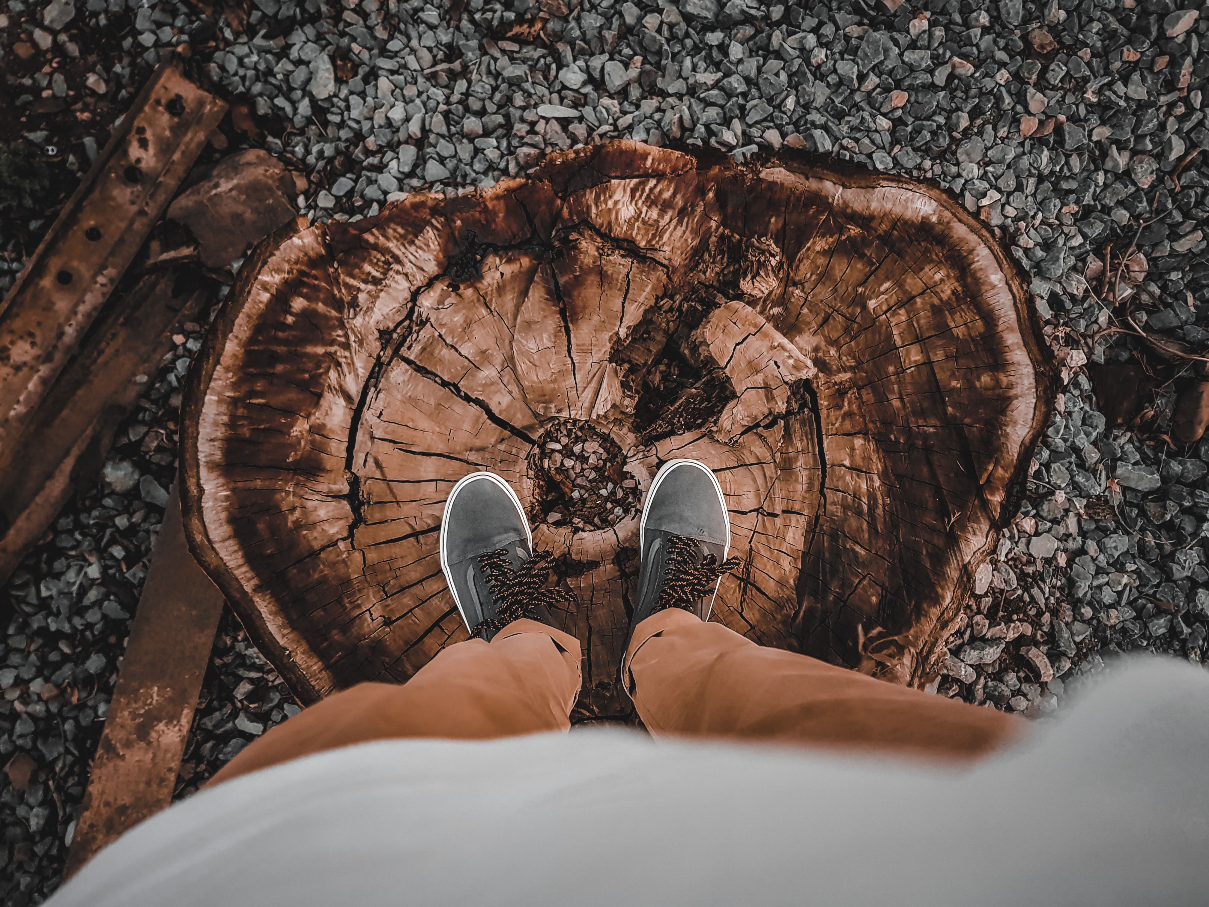 Adorable Shoes with Fetus Ultrasound on Stump · Free Stock Photo