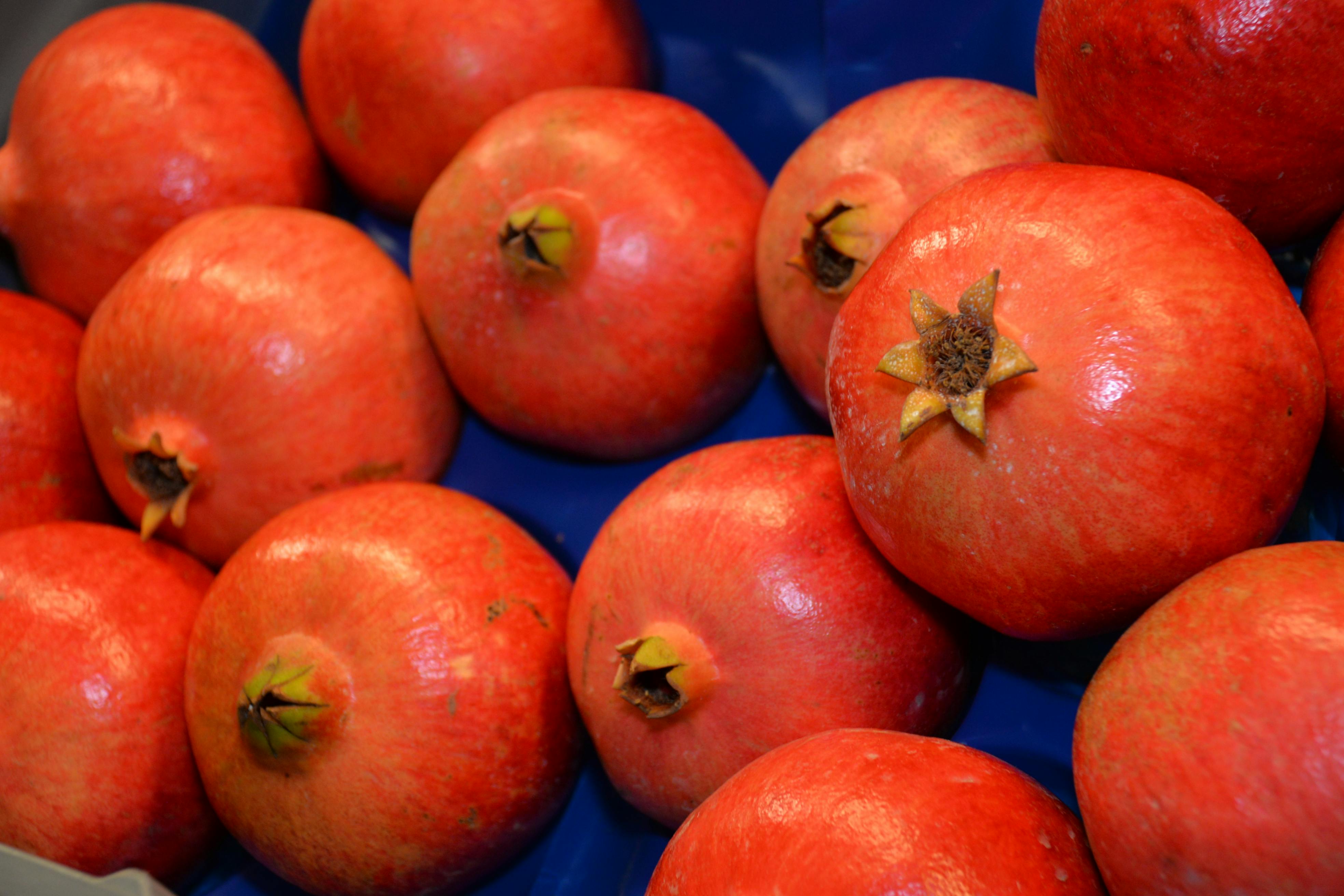 Morris Lowery Jr - 摄影