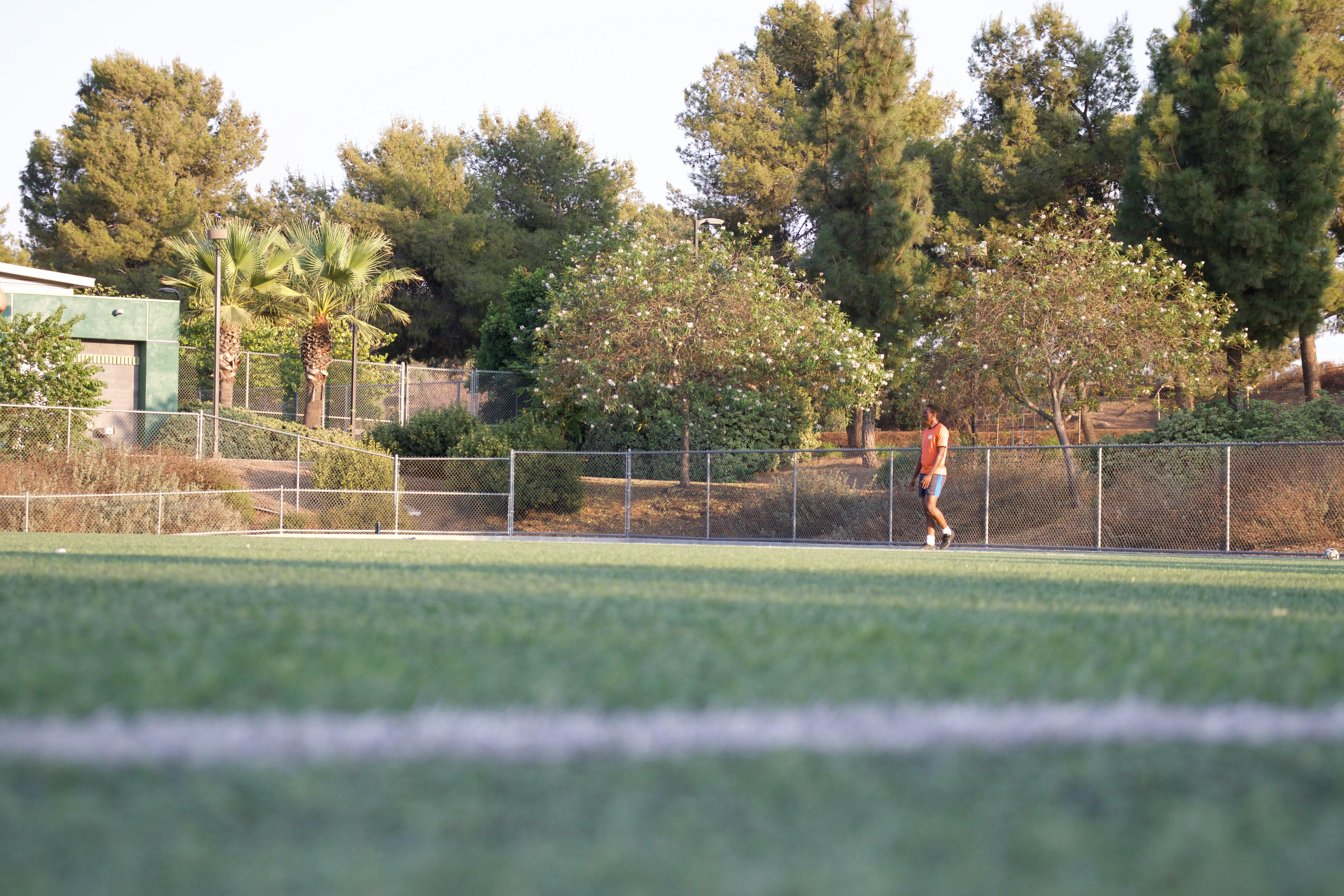 Elie Dagher - 摄影