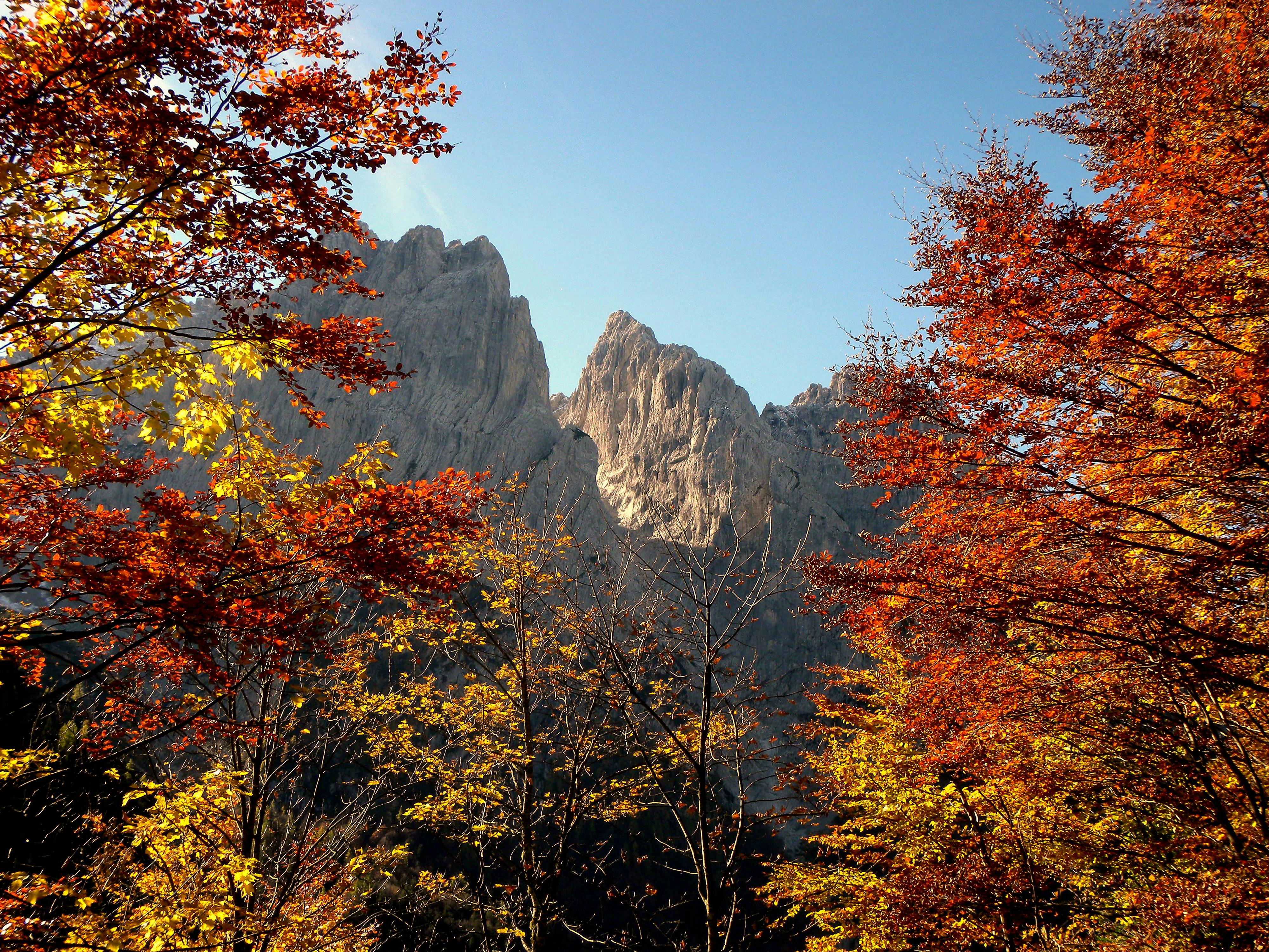 Kostenloses Foto zum Thema: abenteuer, alpenregion, alpin, autumn ...