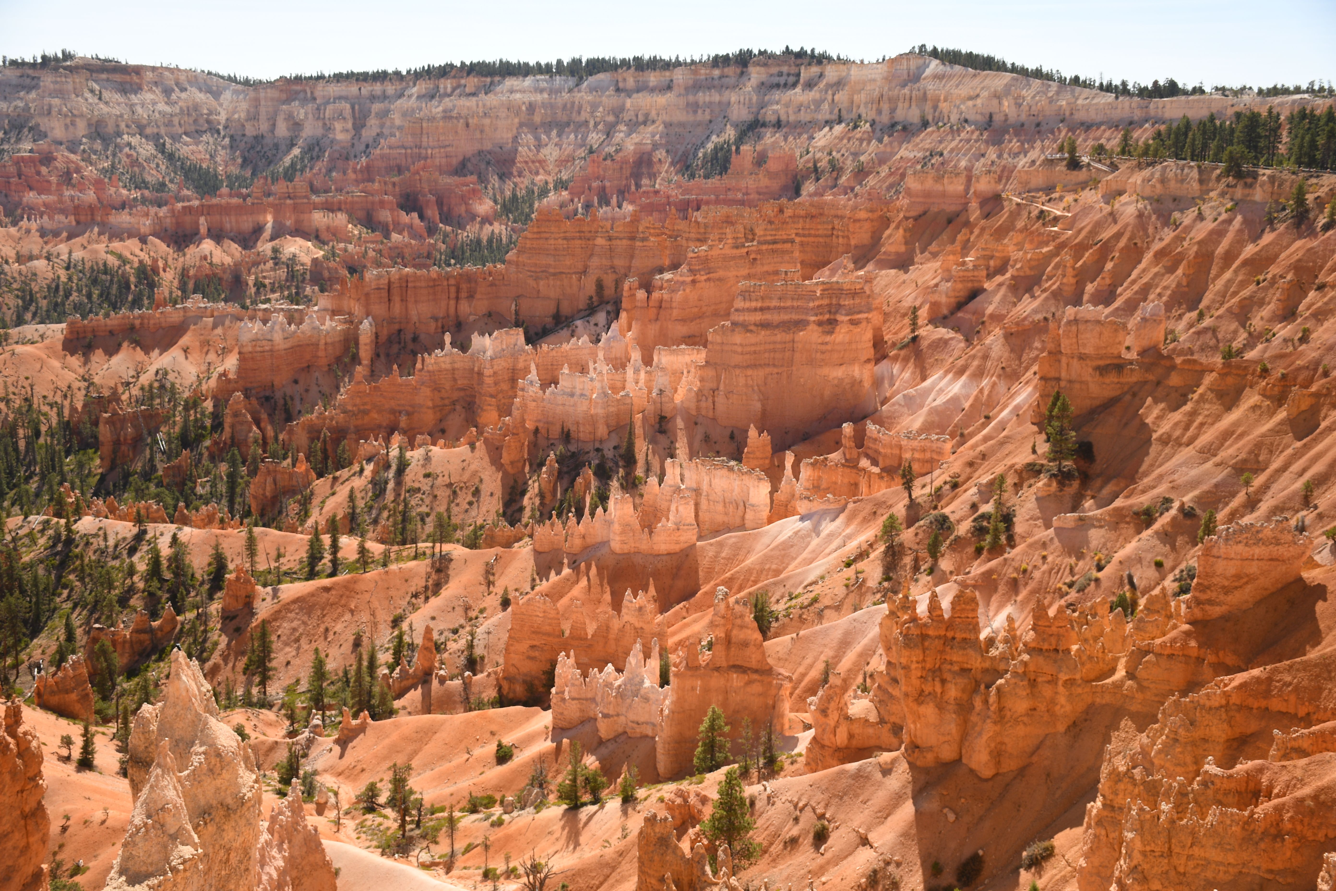 Us National Park Photos, Download The BEST Free Us National Park Stock ...