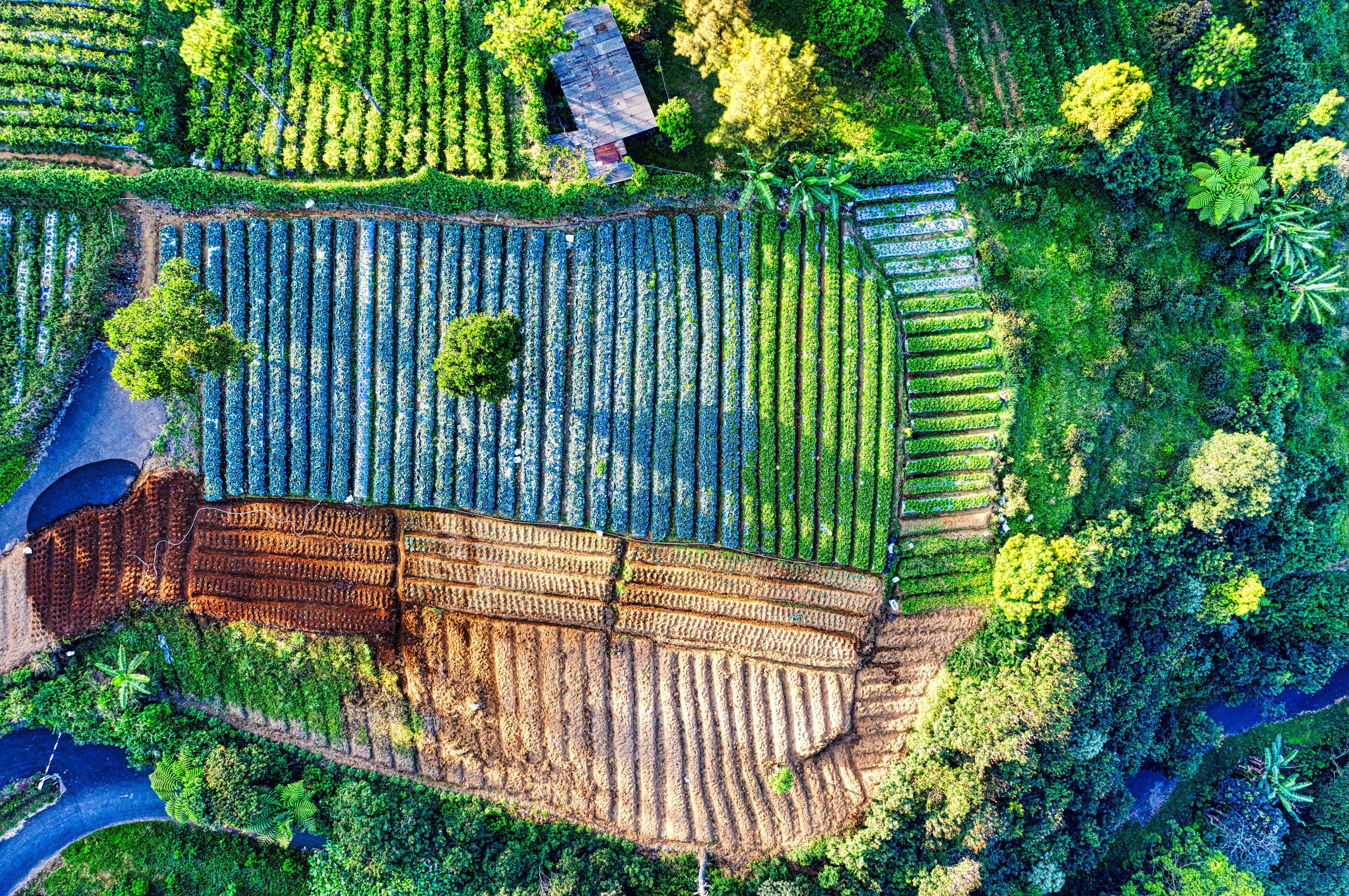 Java Land Photos, Download The BEST Free Java Land Stock Photos & HD Images