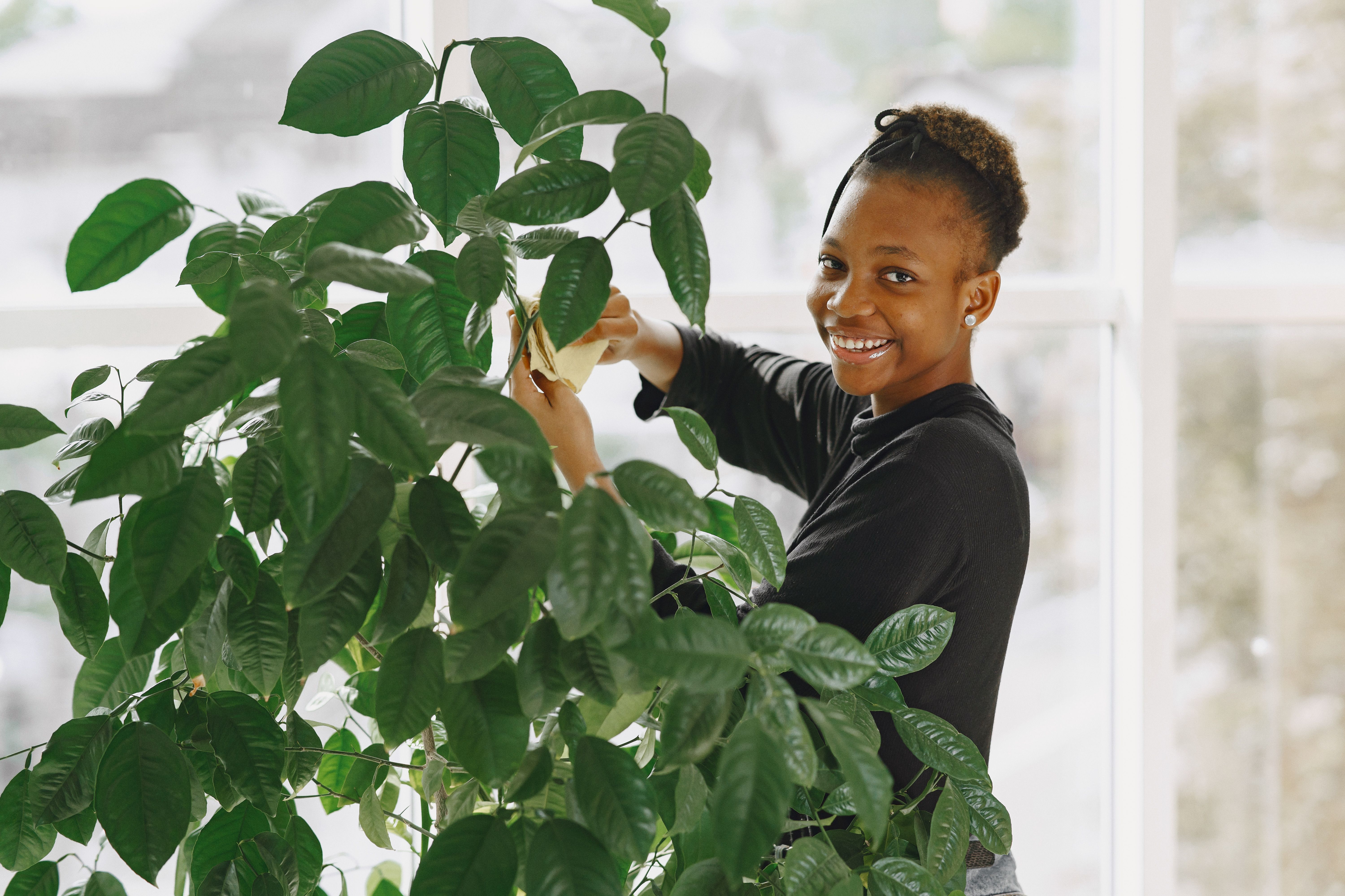Girl Cleaning Plant Leaves from Dust · Free Stock Photo