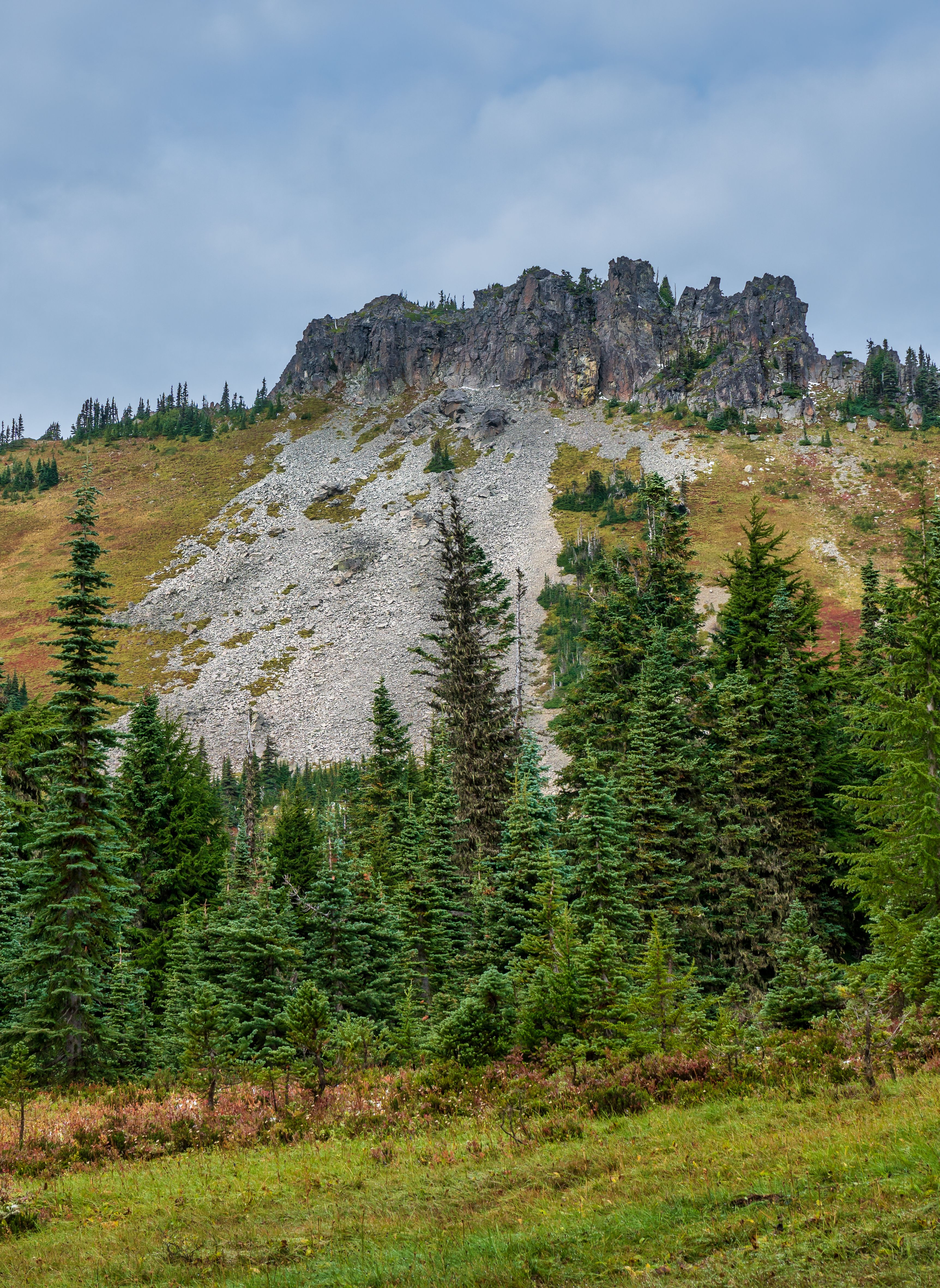 Green Trees Near Mountain Under the Sky · Free Stock Photo