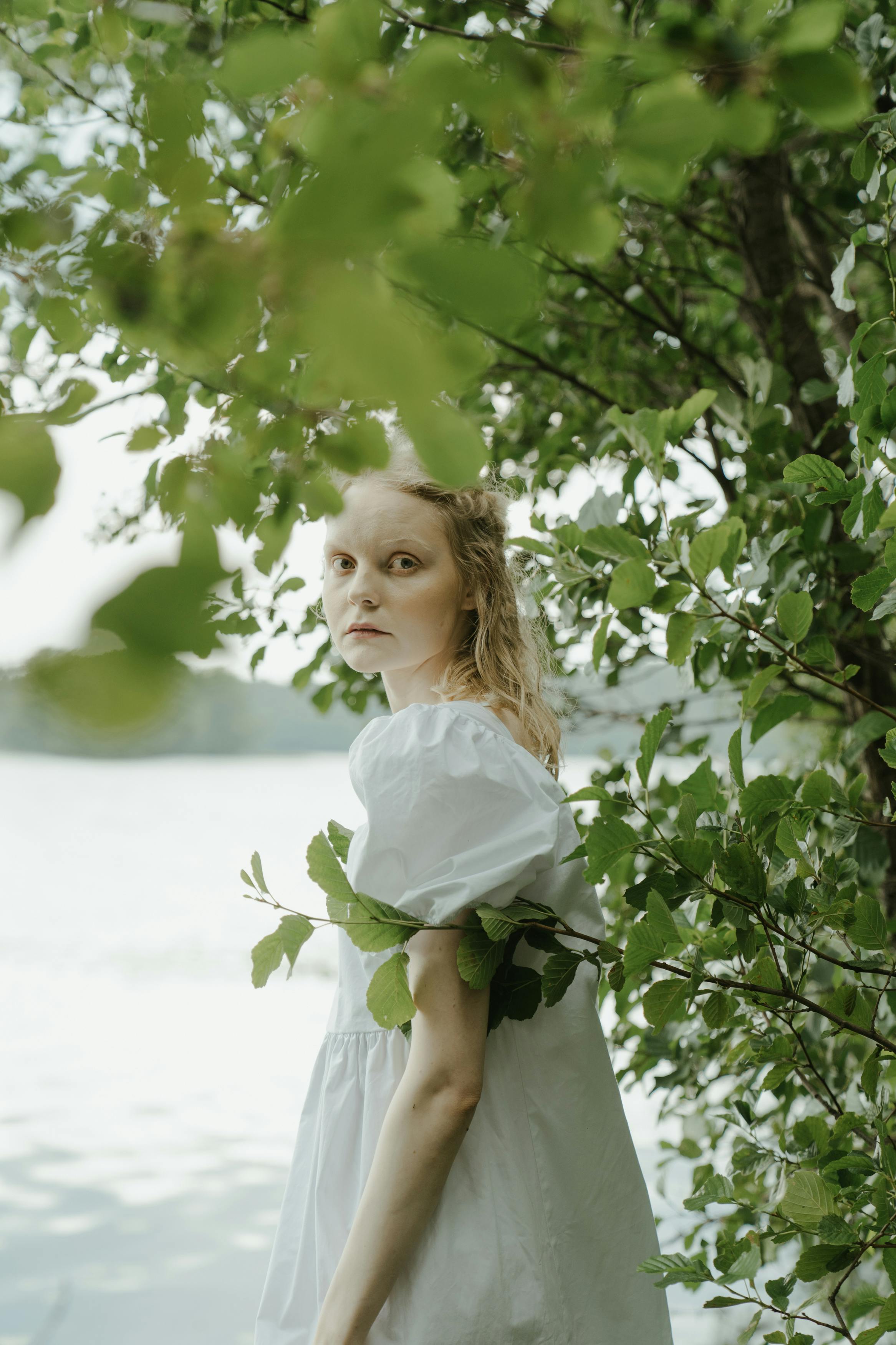 Polar Tree Photos, Download The BEST Free Polar Tree Stock Photos & HD ...