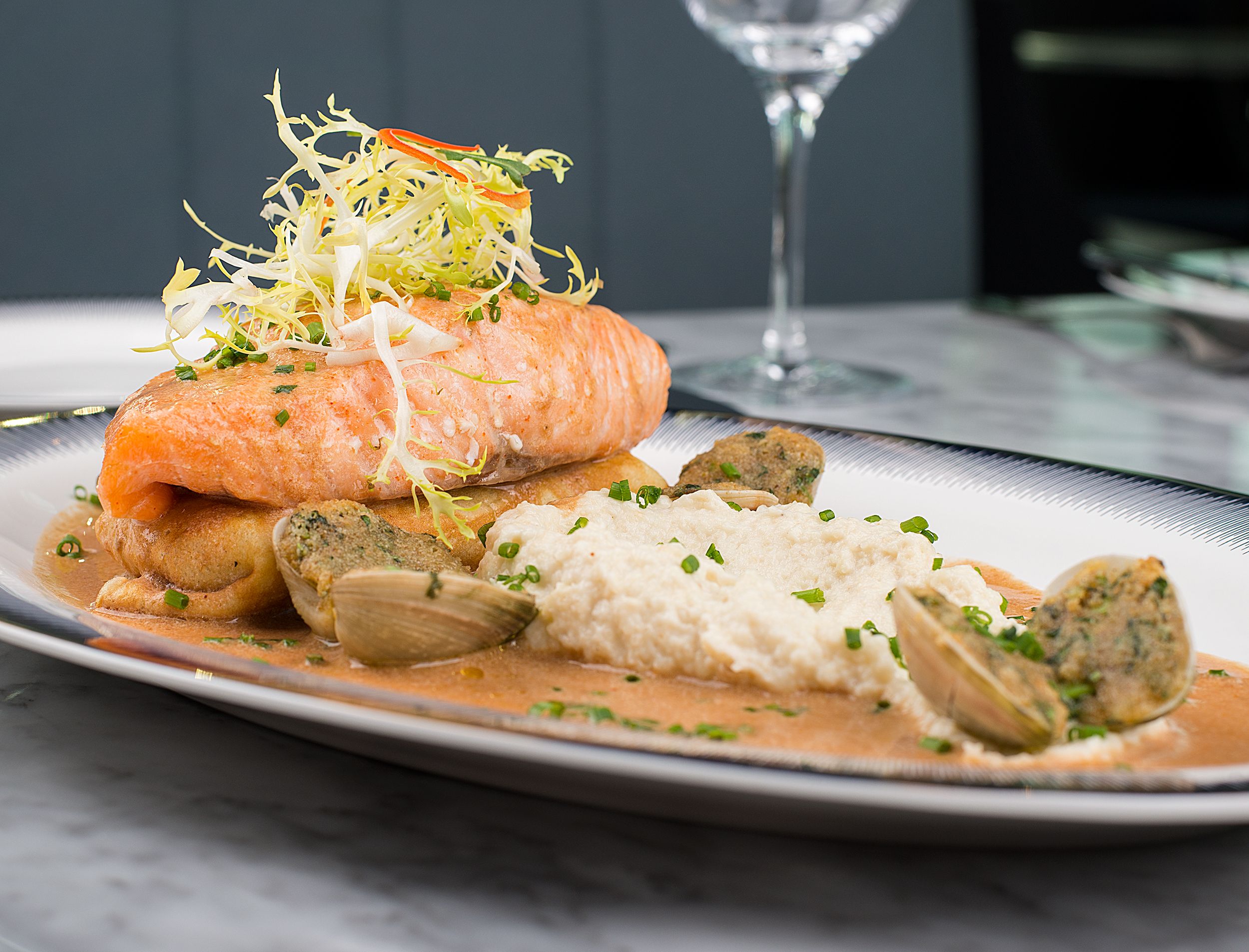 Close up of Salmon Food · Free Stock Photo