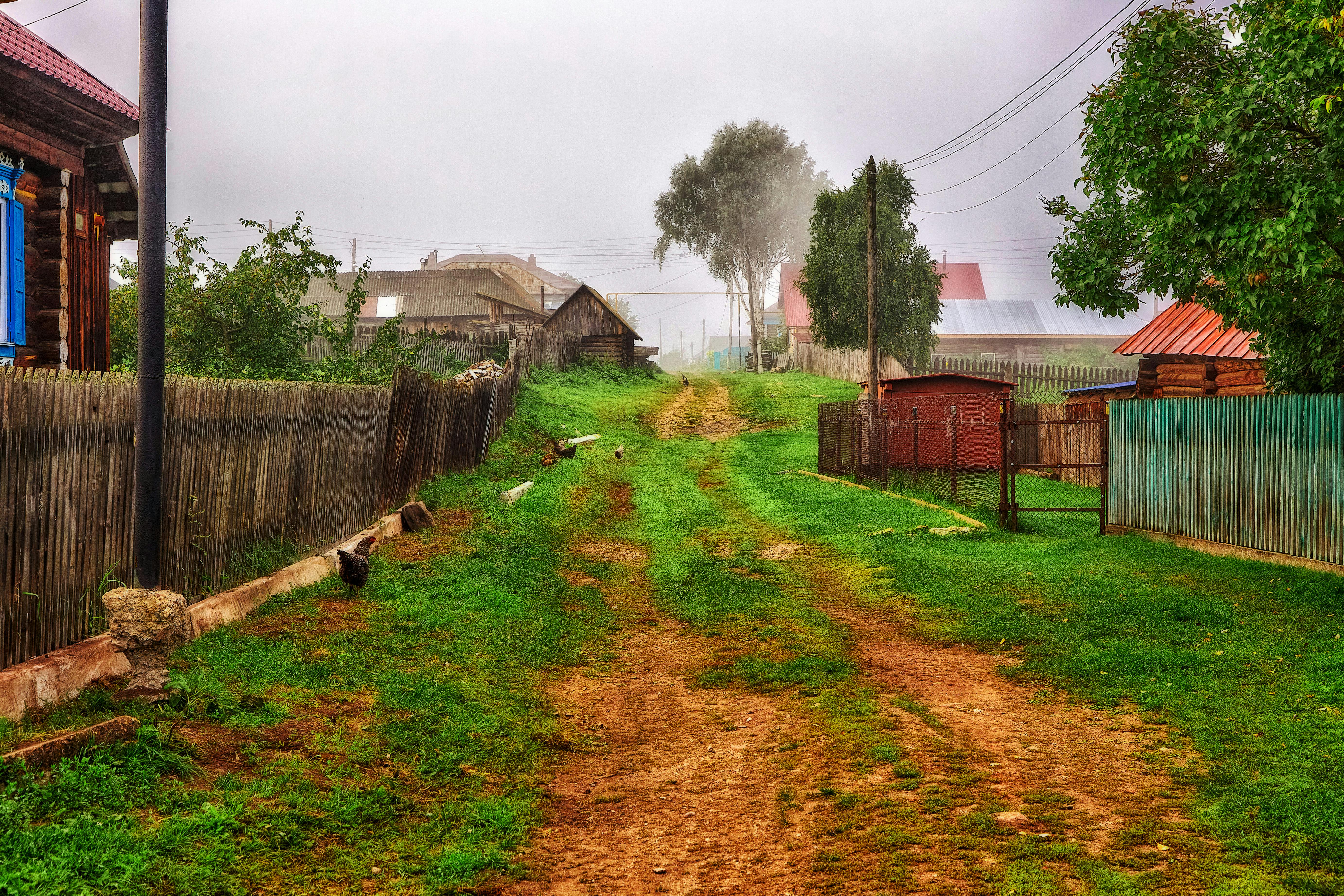 Dirt Road between Houses in Countryside · Free Stock Photo