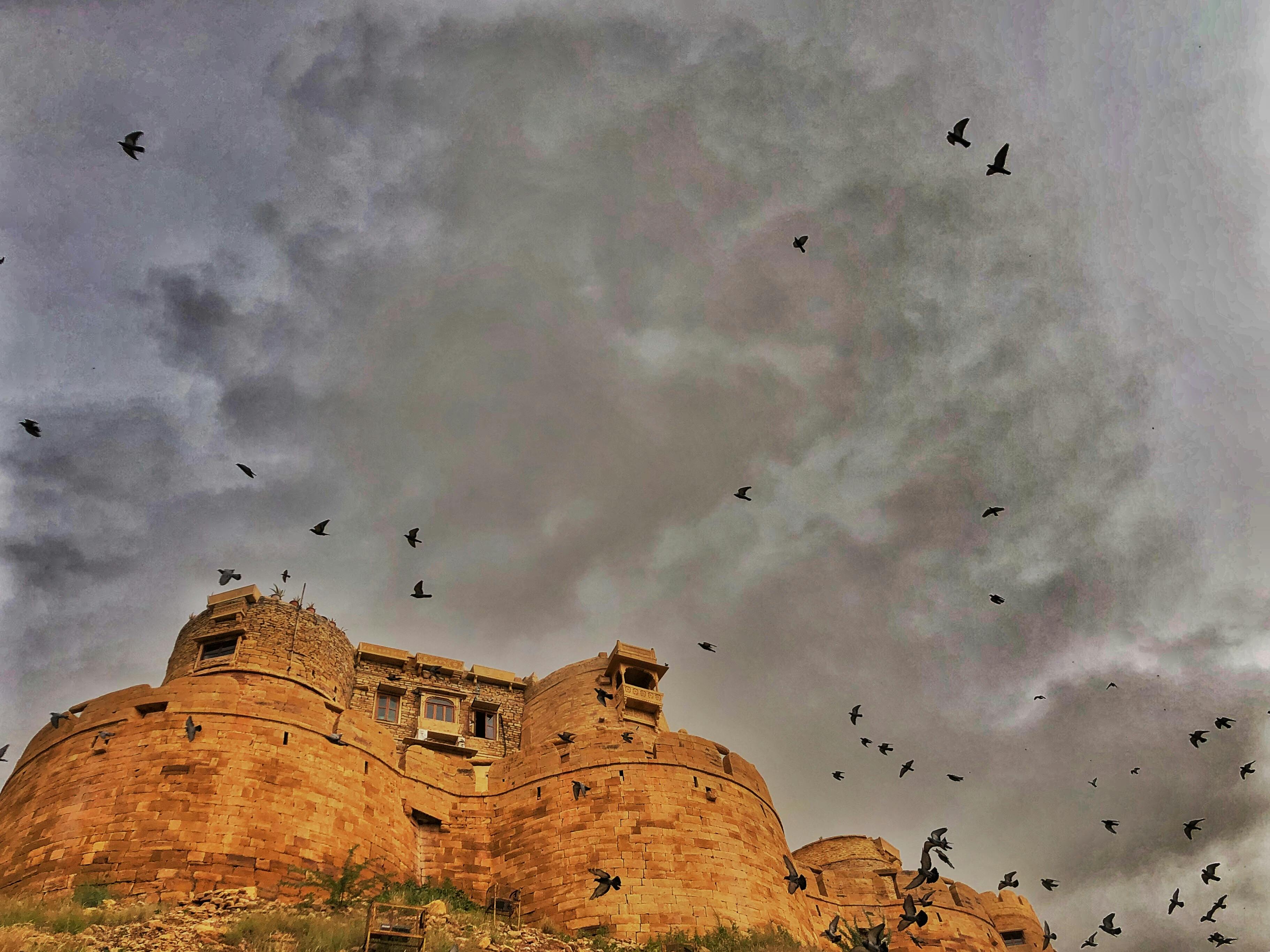 Samkit Mehta - 사진