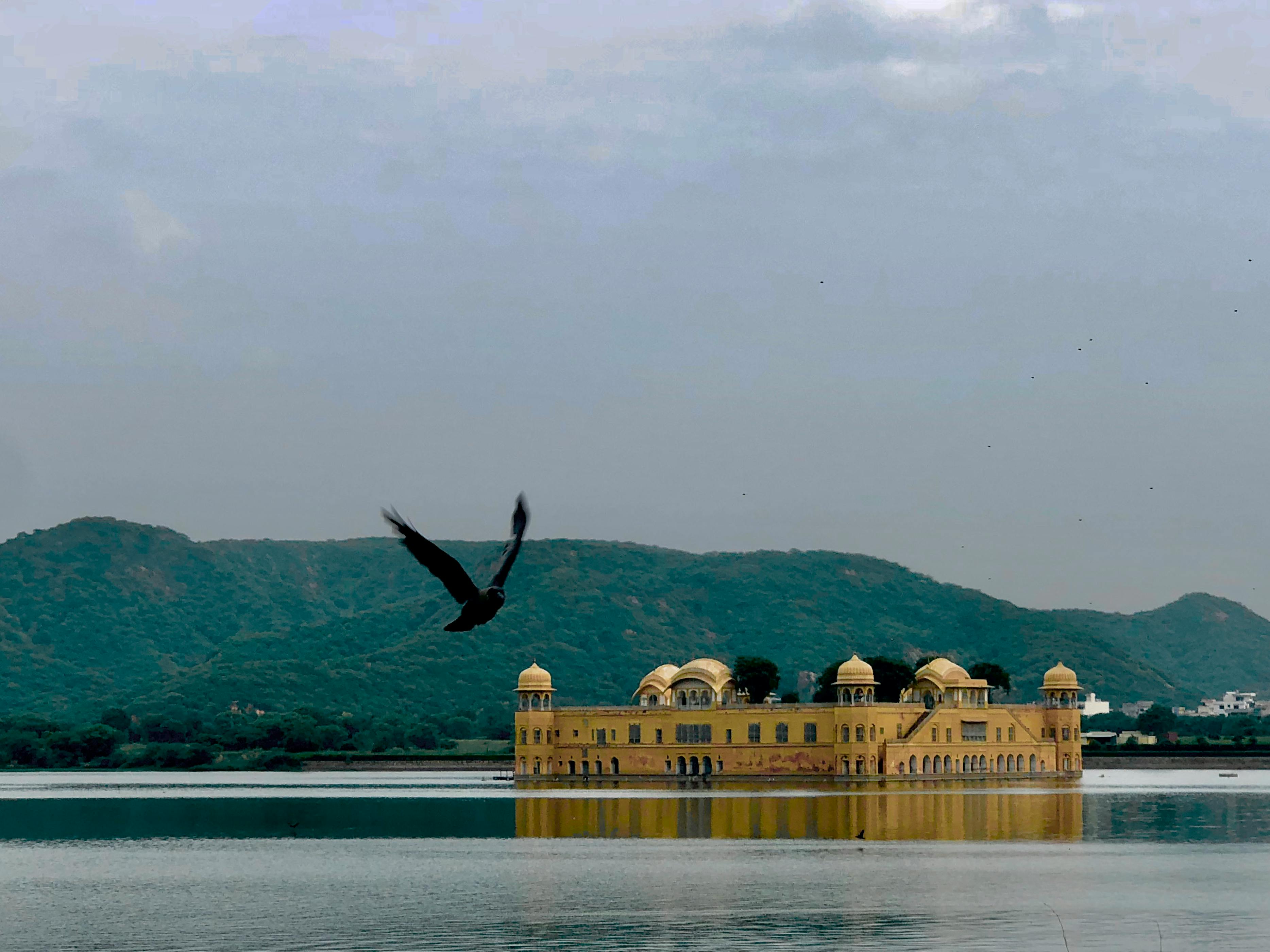 Samkit Mehta - 사진