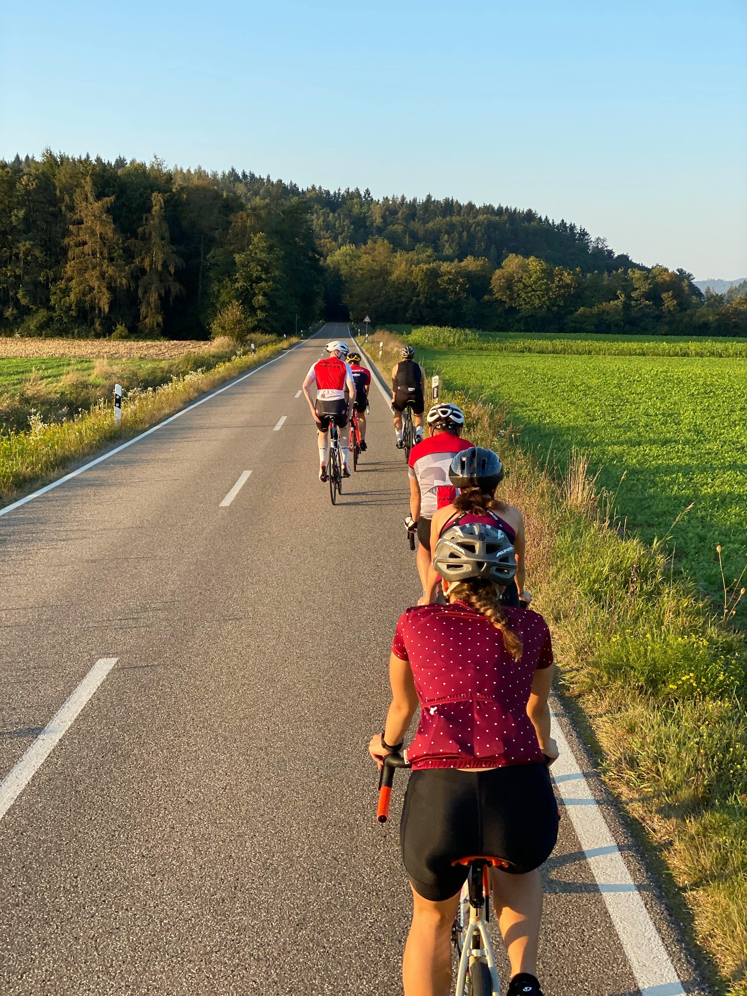 People Riding Bicycle on the Road · Free Stock Photo