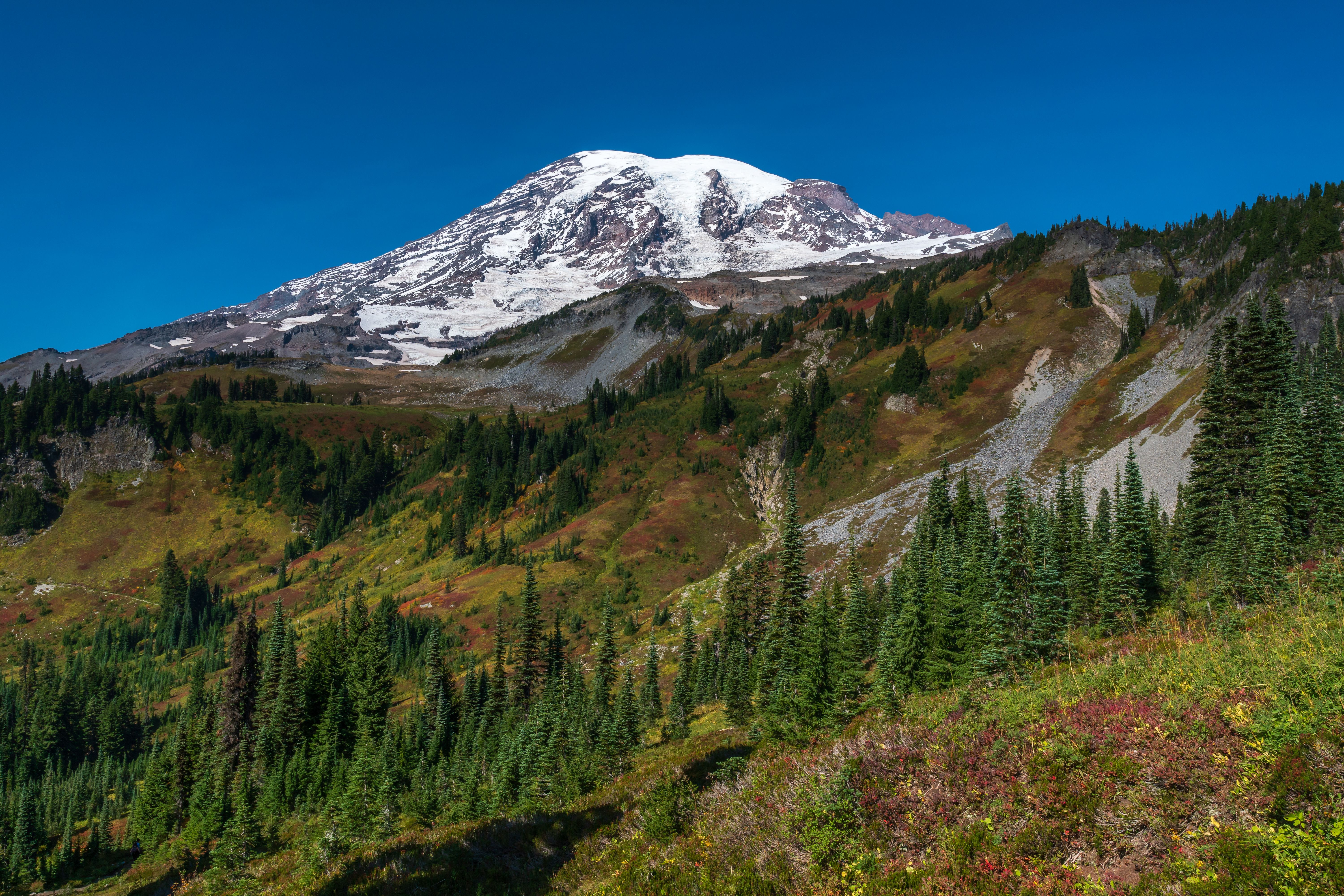Mountainpeak and Trees · Free Stock Photo