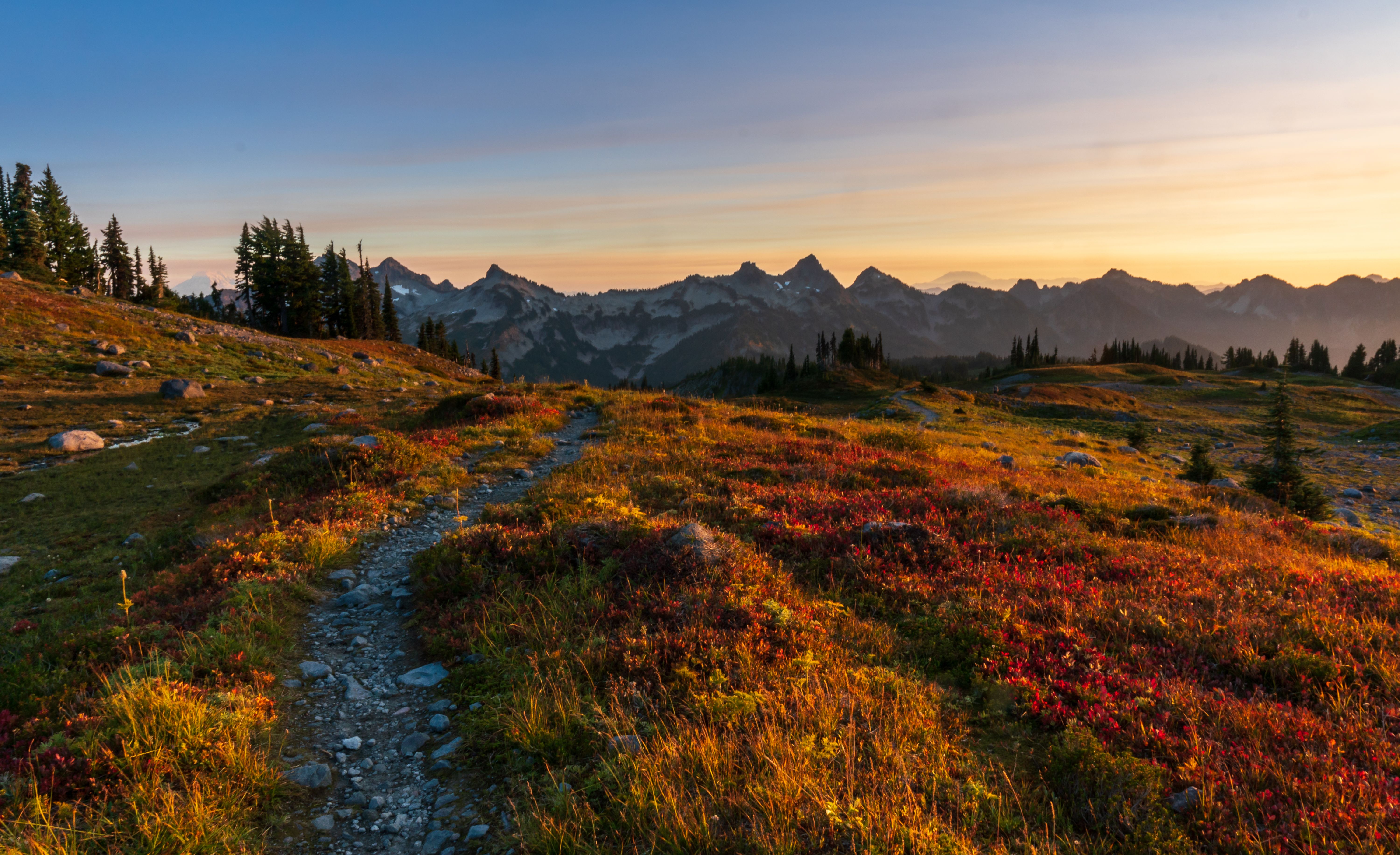 Scenic Landscape at Sunset · Free Stock Photo
