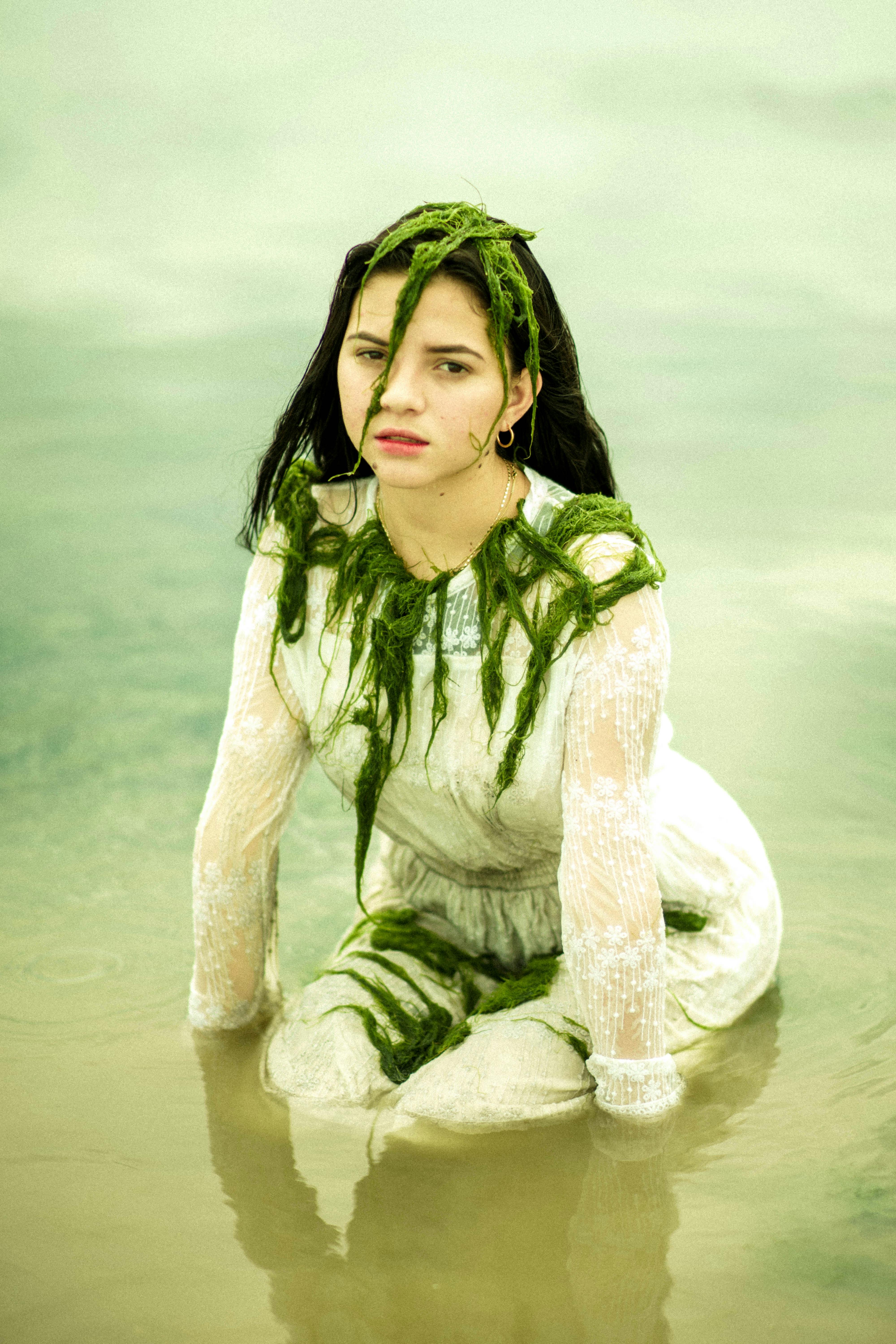 Drowned Photos, Download The BEST Free Drowned Stock Photos & HD Images