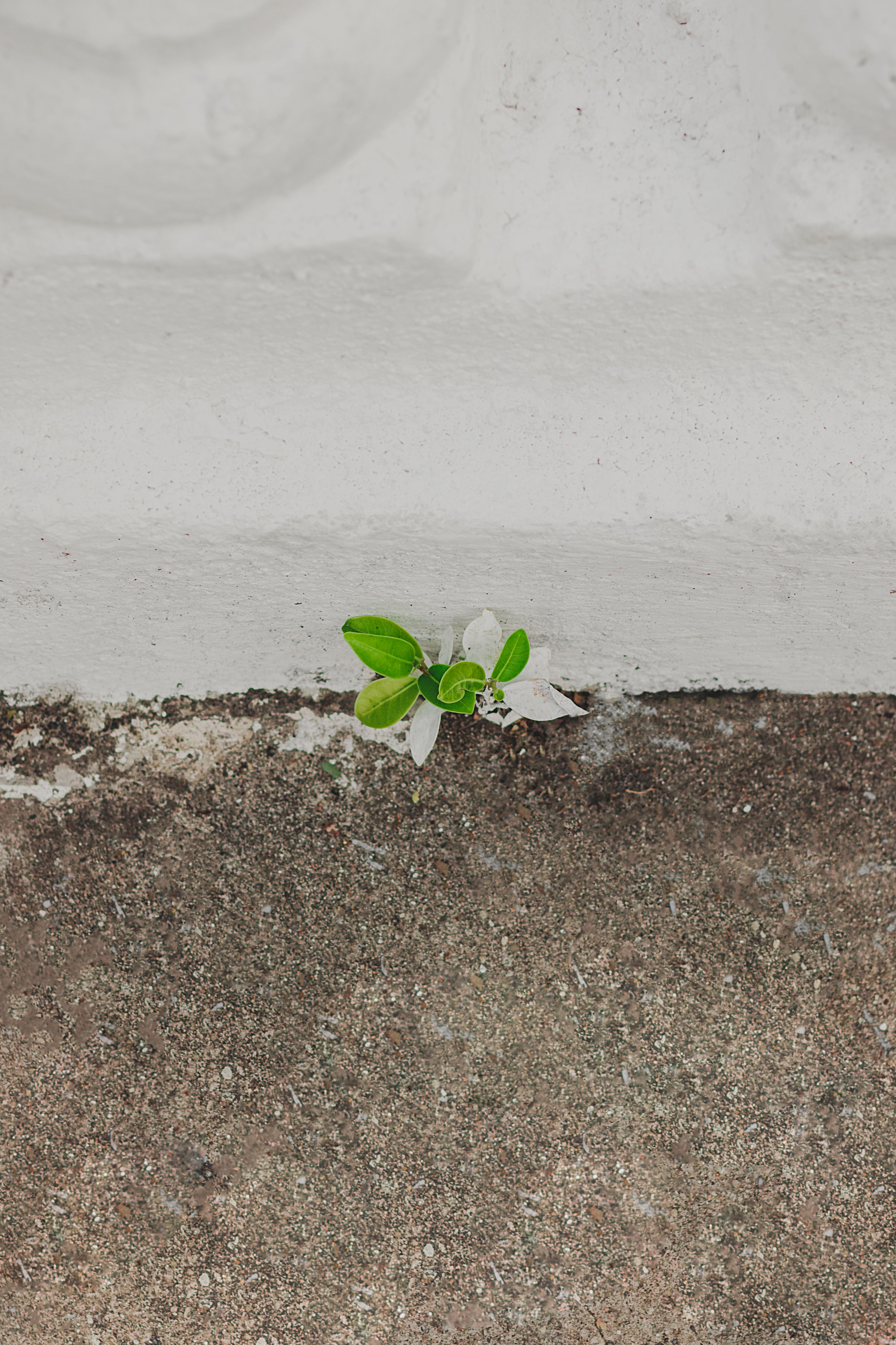 Life Struggle Photos, Download The BEST Free Life Struggle Stock Photos ...
