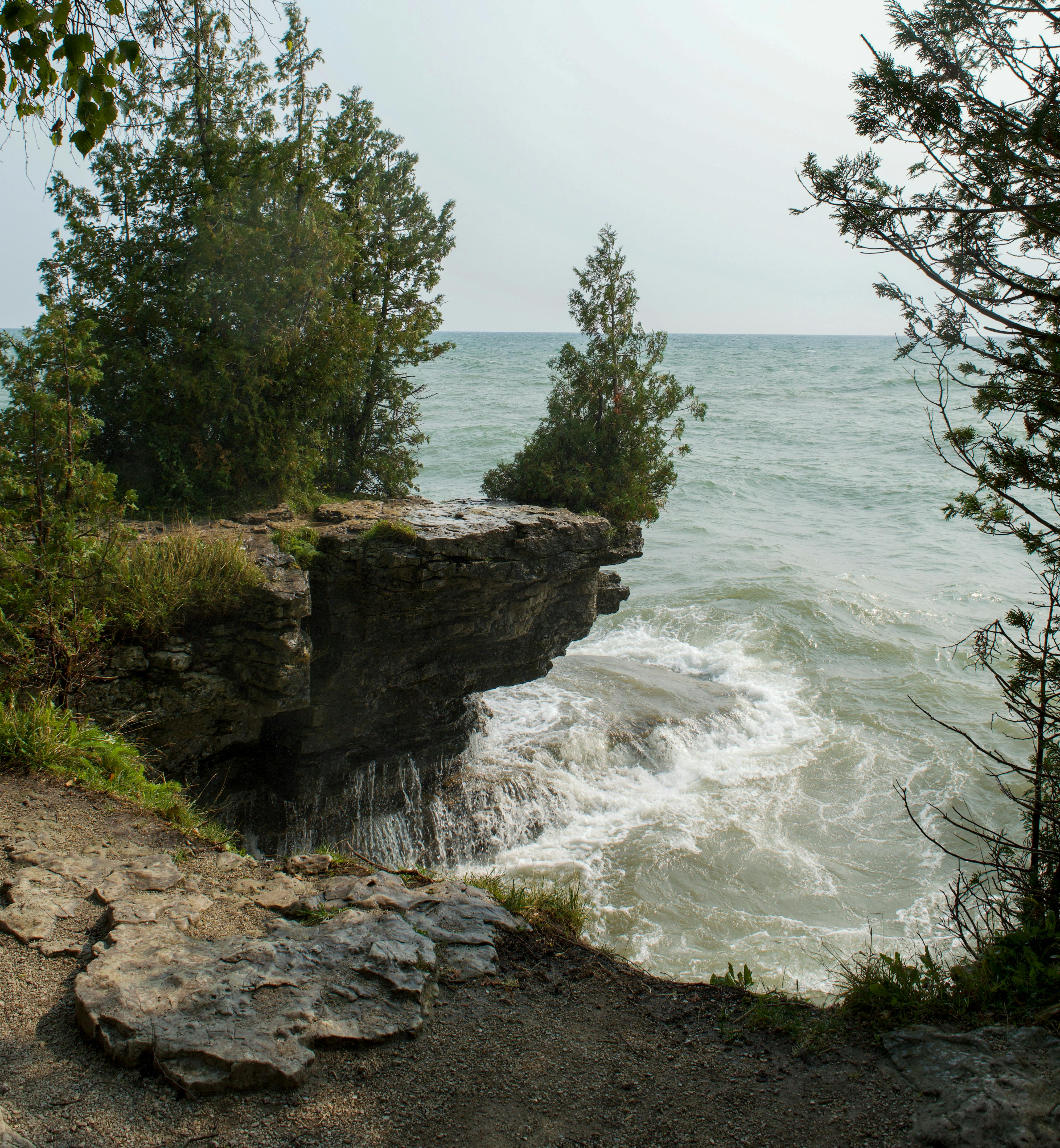 Trees on Sea Shore · Free Stock Photo
