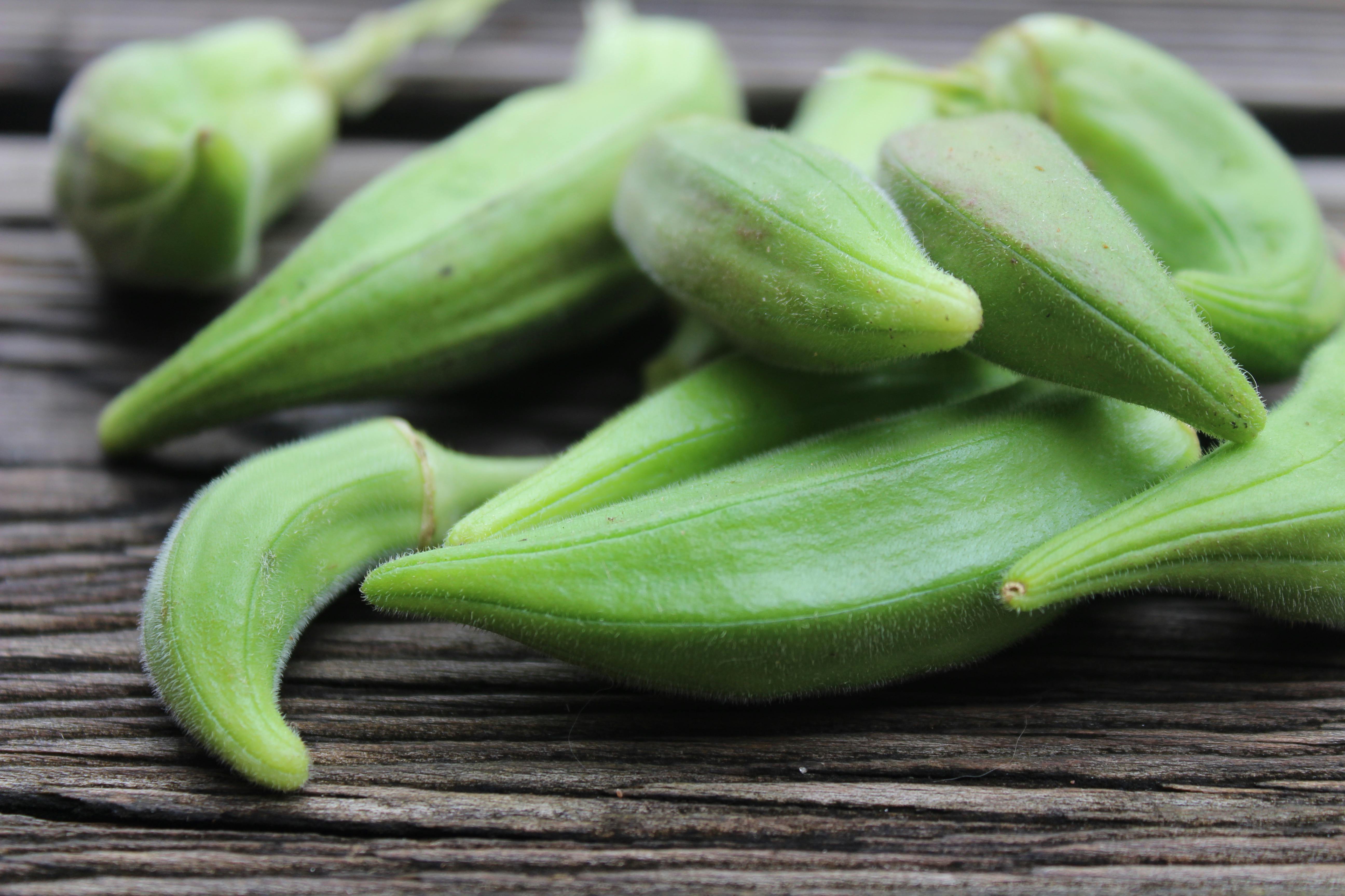 Okra Photos, Download The BEST Free Okra Stock Photos & HD Images