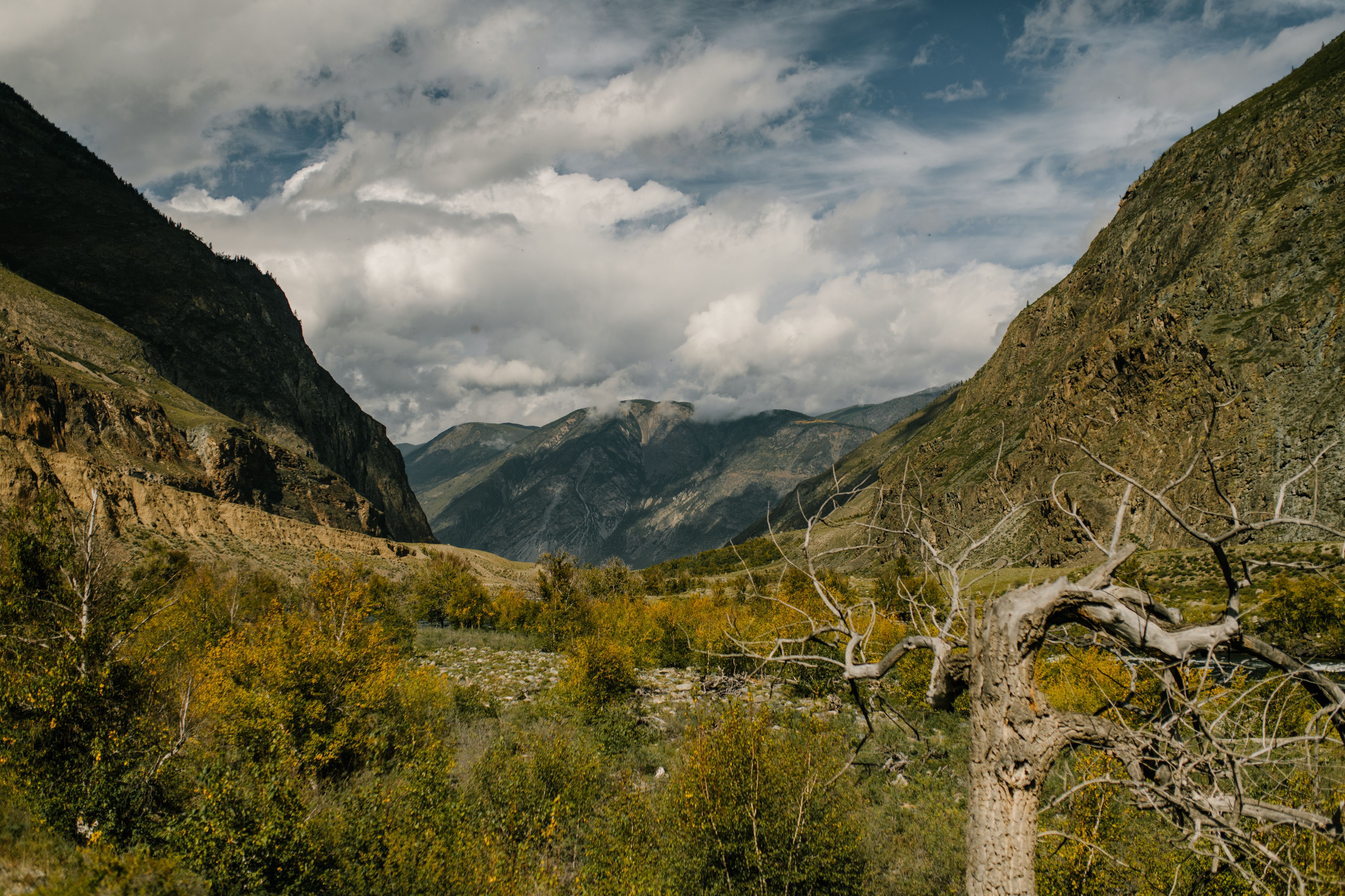 A Valley Under the Cloudy Sky · Free Stock Photo