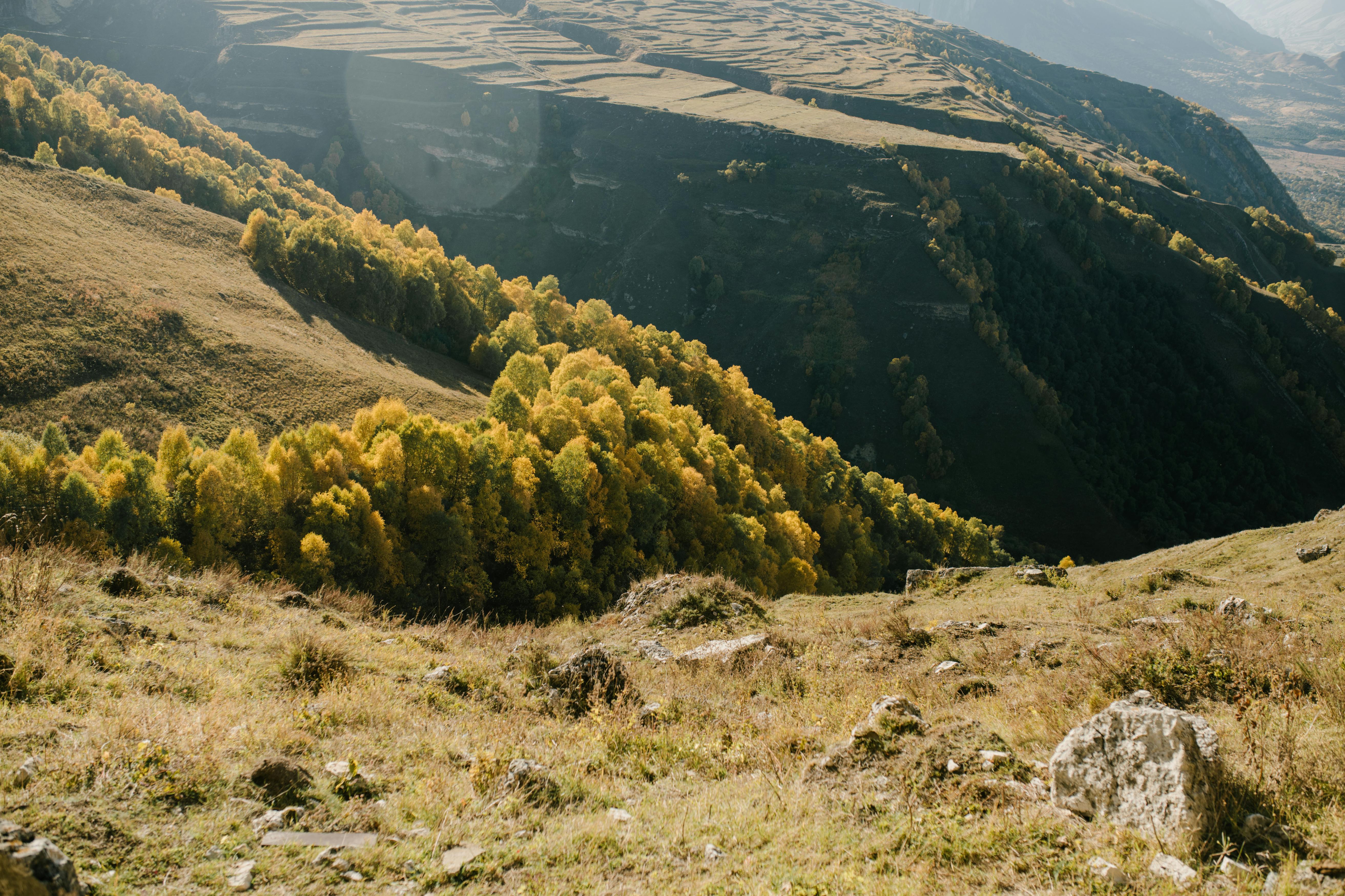 Environmental View Photos, Download The BEST Free Environmental View ...