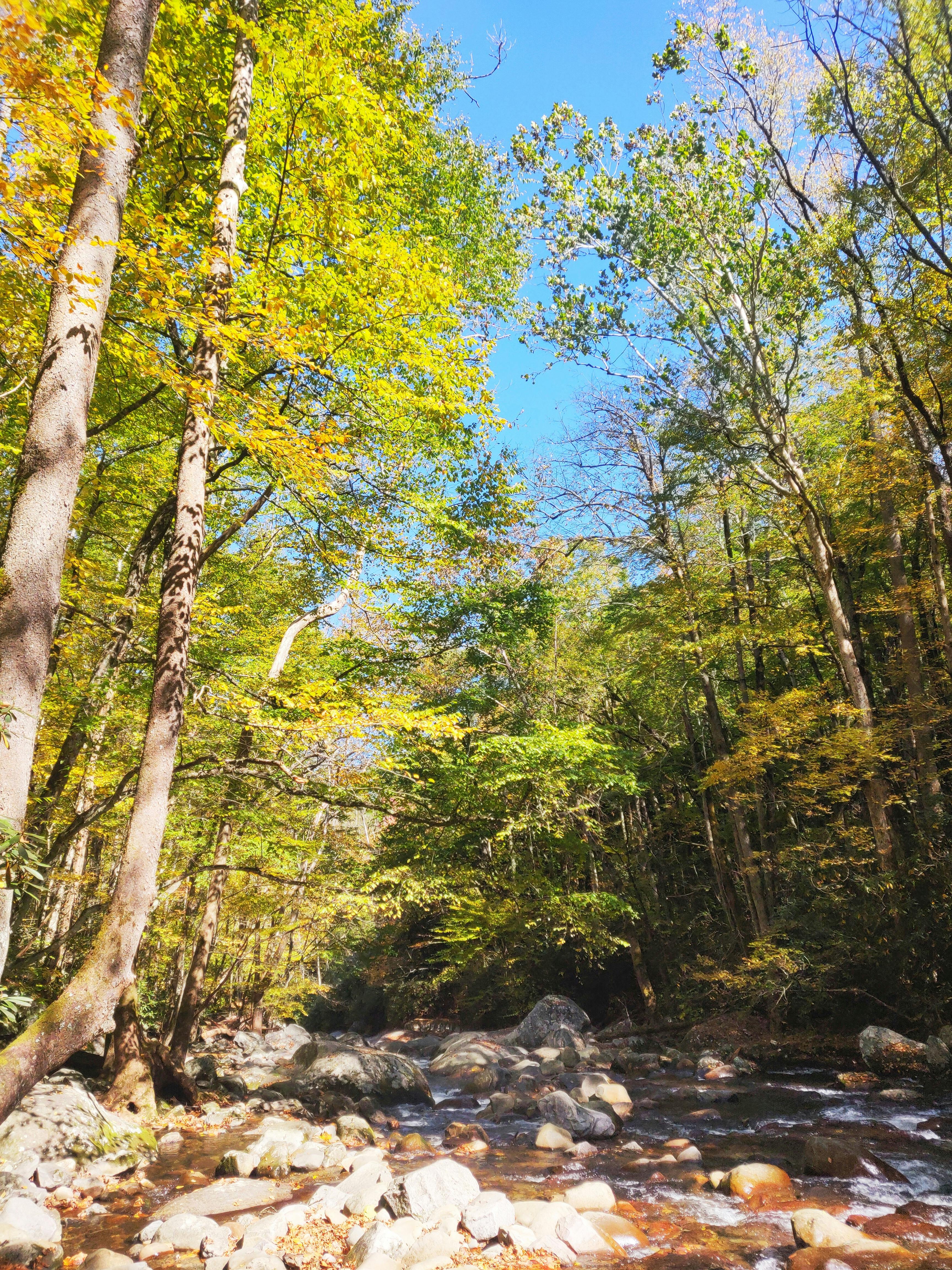 River in Between Rocks · Free Stock Photo