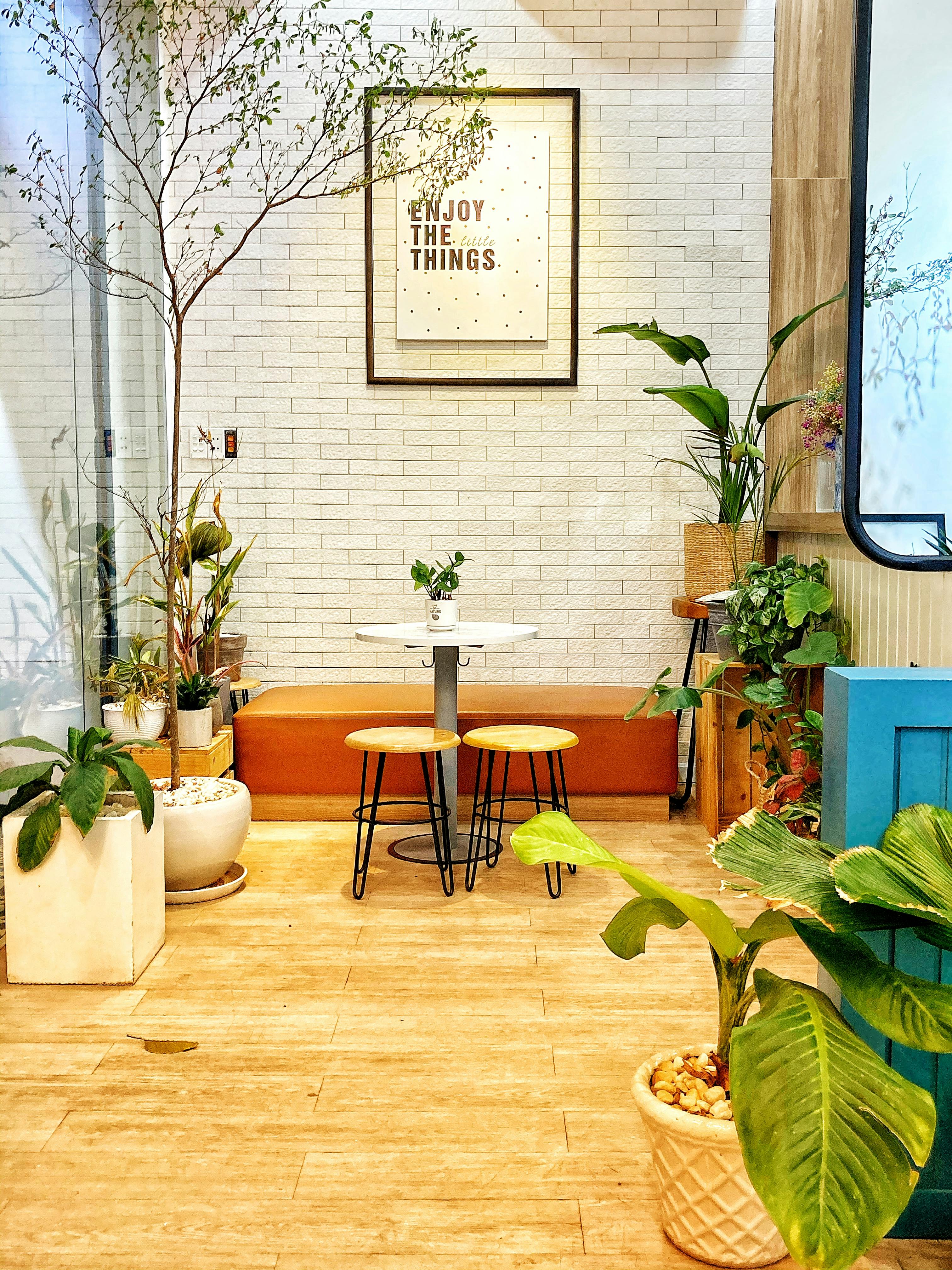 Small Table in Cafe · Free Stock Photo