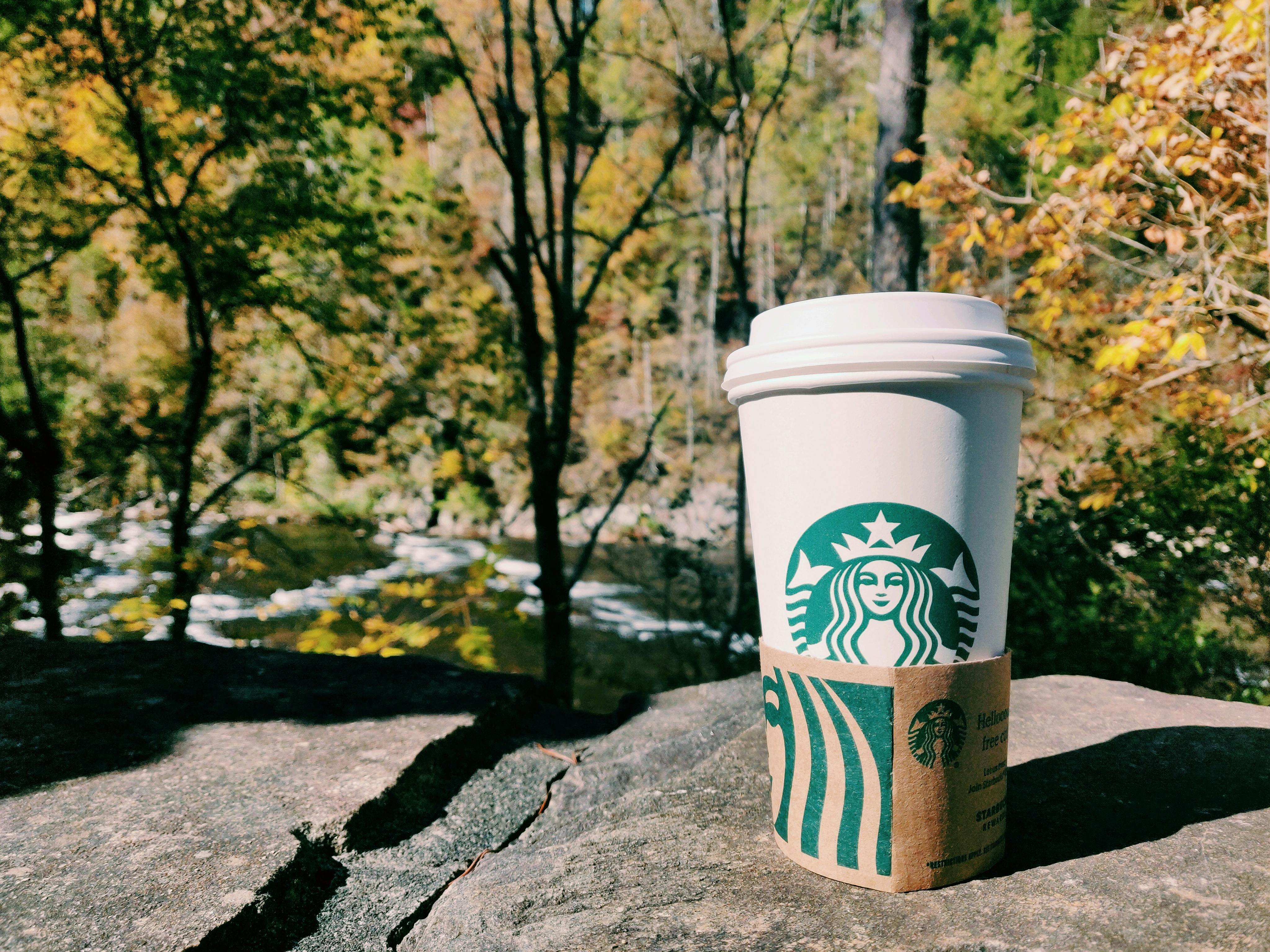 Starbucks Fall Photos, Download The BEST Free Starbucks Fall Stock ...
