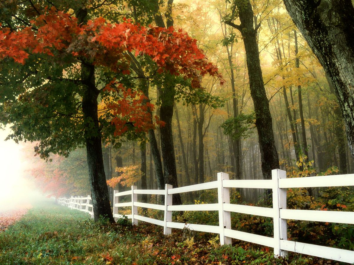 Early Morning Photos, Download The BEST Free Early Morning Stock Photos ...